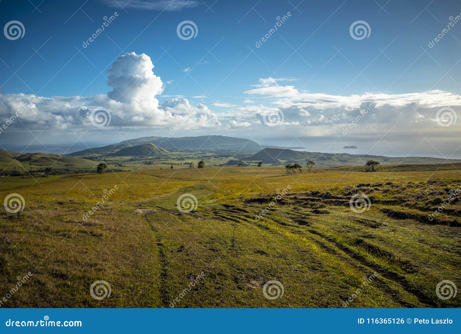 Rapa Nui Moai Statues Easter Island Stock Photo - Image of isolated ...