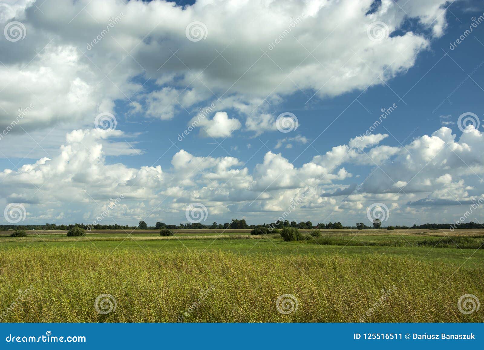 Field, Horizon and White Clouds in the Sky Stock Image - Image of ...