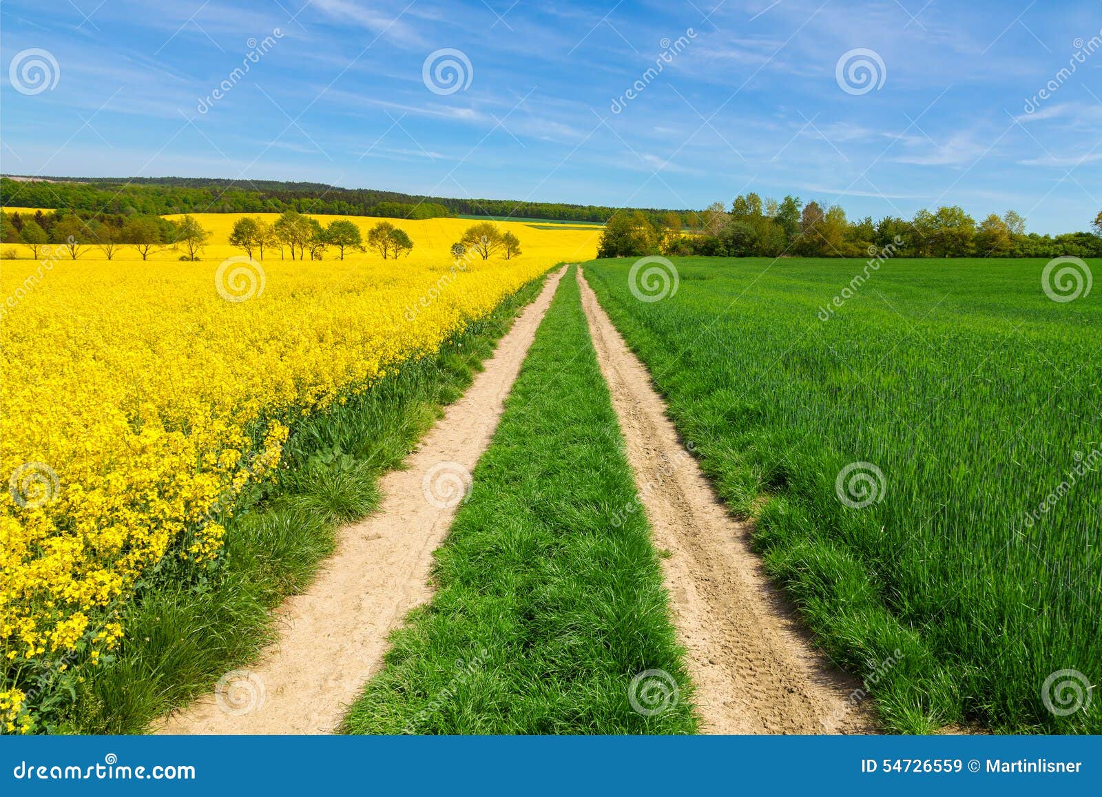 Field, Pathway with Blue Sky Stock Image - Image of ground, farming ...