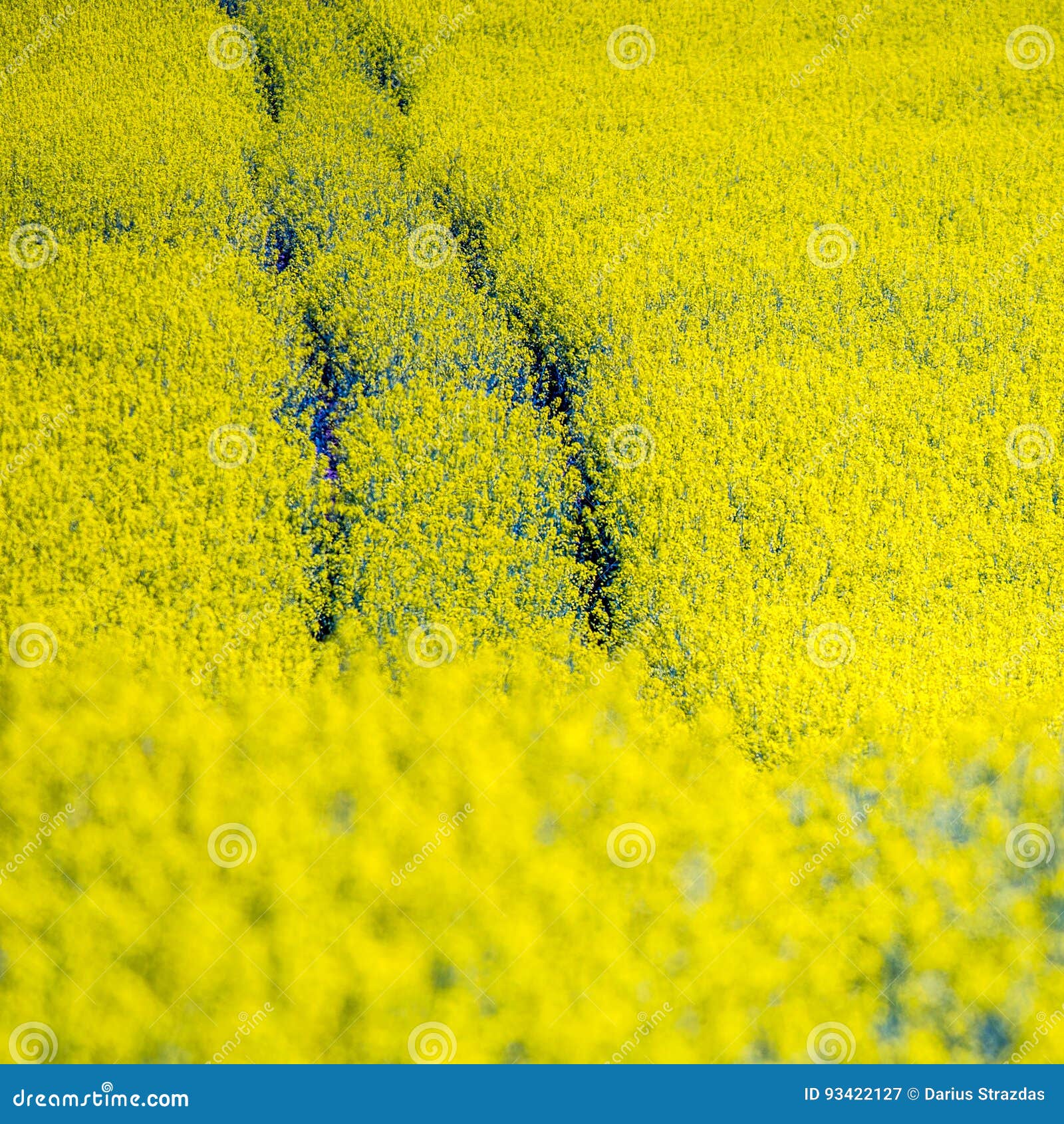 Field and rut stock image. Image of ecology, land, outdoors - 93422127