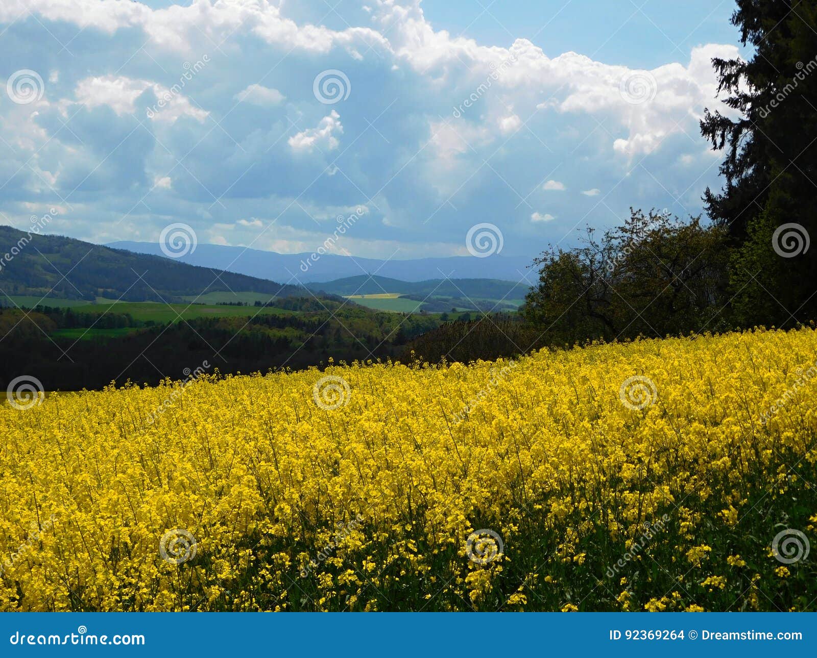 Field in spring stock photo. Image of mountains, flower - 92369264