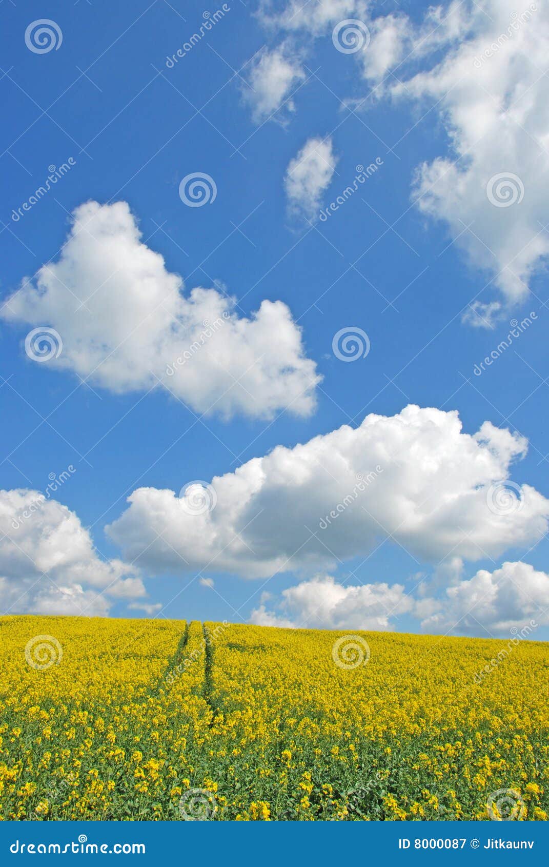 Field in spring time stock image. Image of idyllic, natural - 8000087