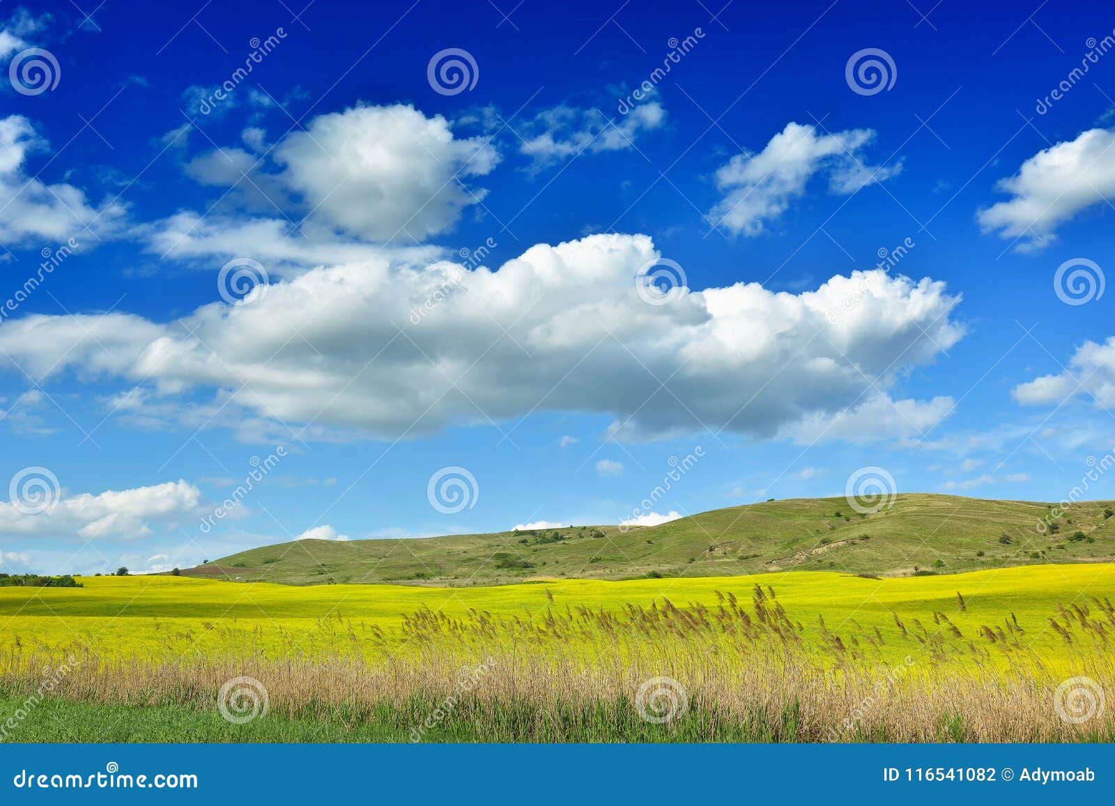 Field in Transylvania - Romania Stock Photo - Image of mountain, nature ...