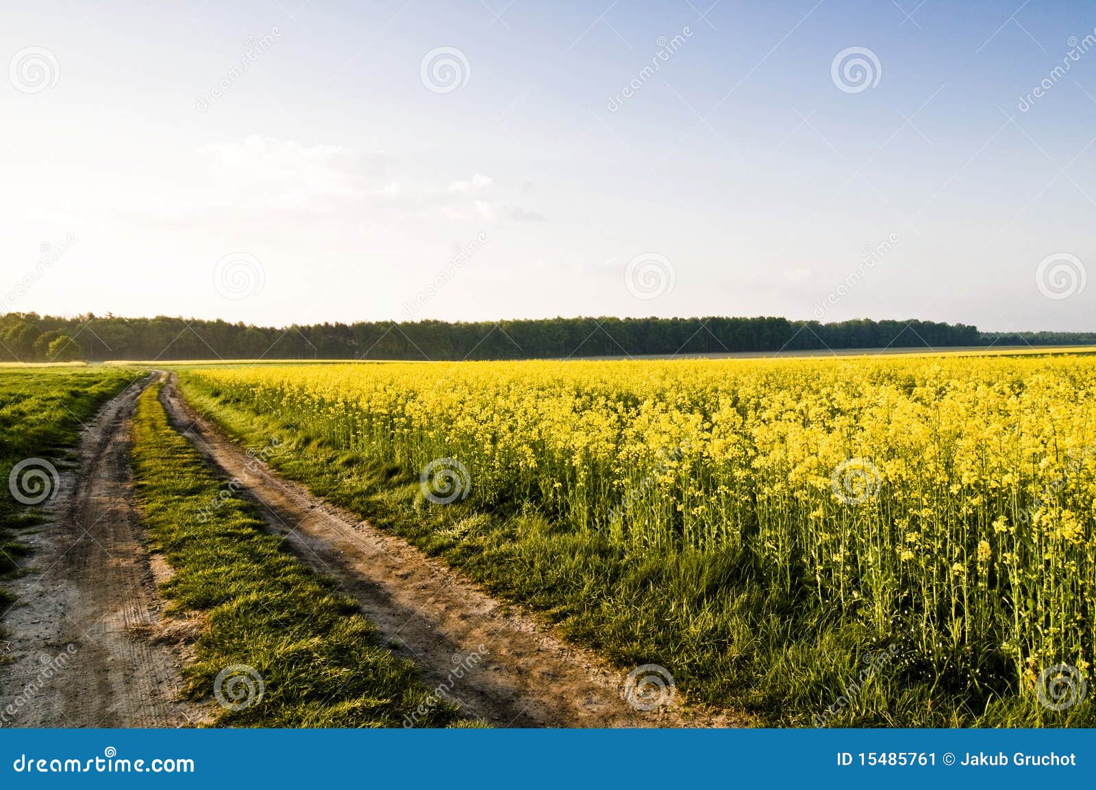 Fields in Poland stock image. Image of countryside, colour - 15485761