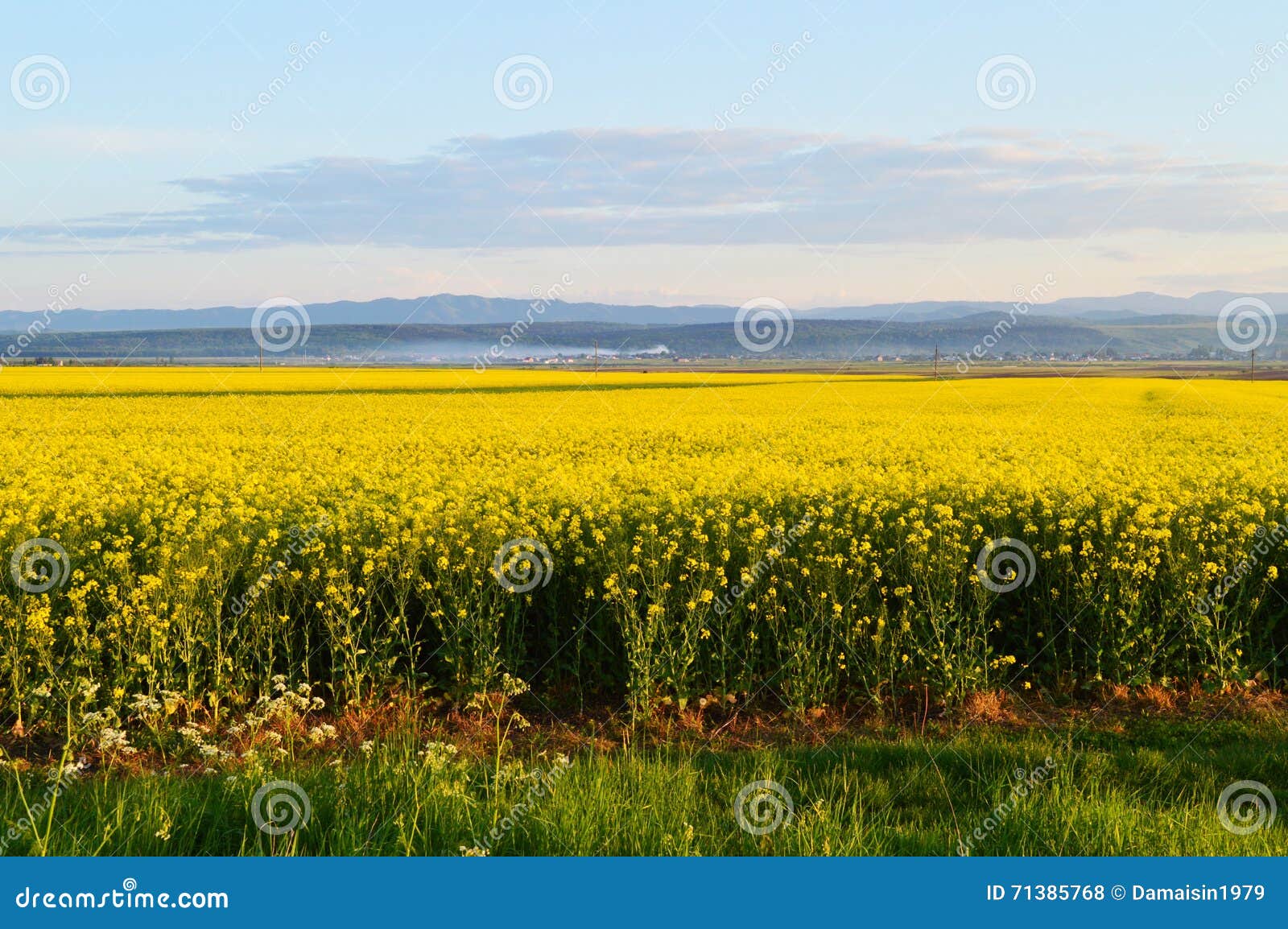 Fields in Romania stock photo. Image of landscape, clouds - 71385768