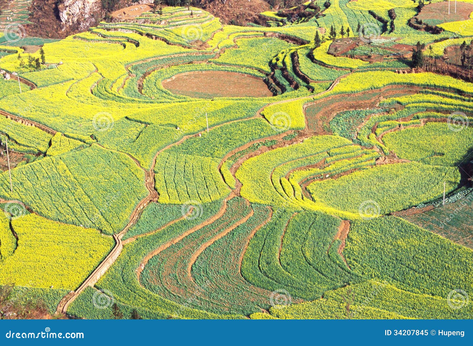 Seed field stock image. Image of country, environmental - 34207845