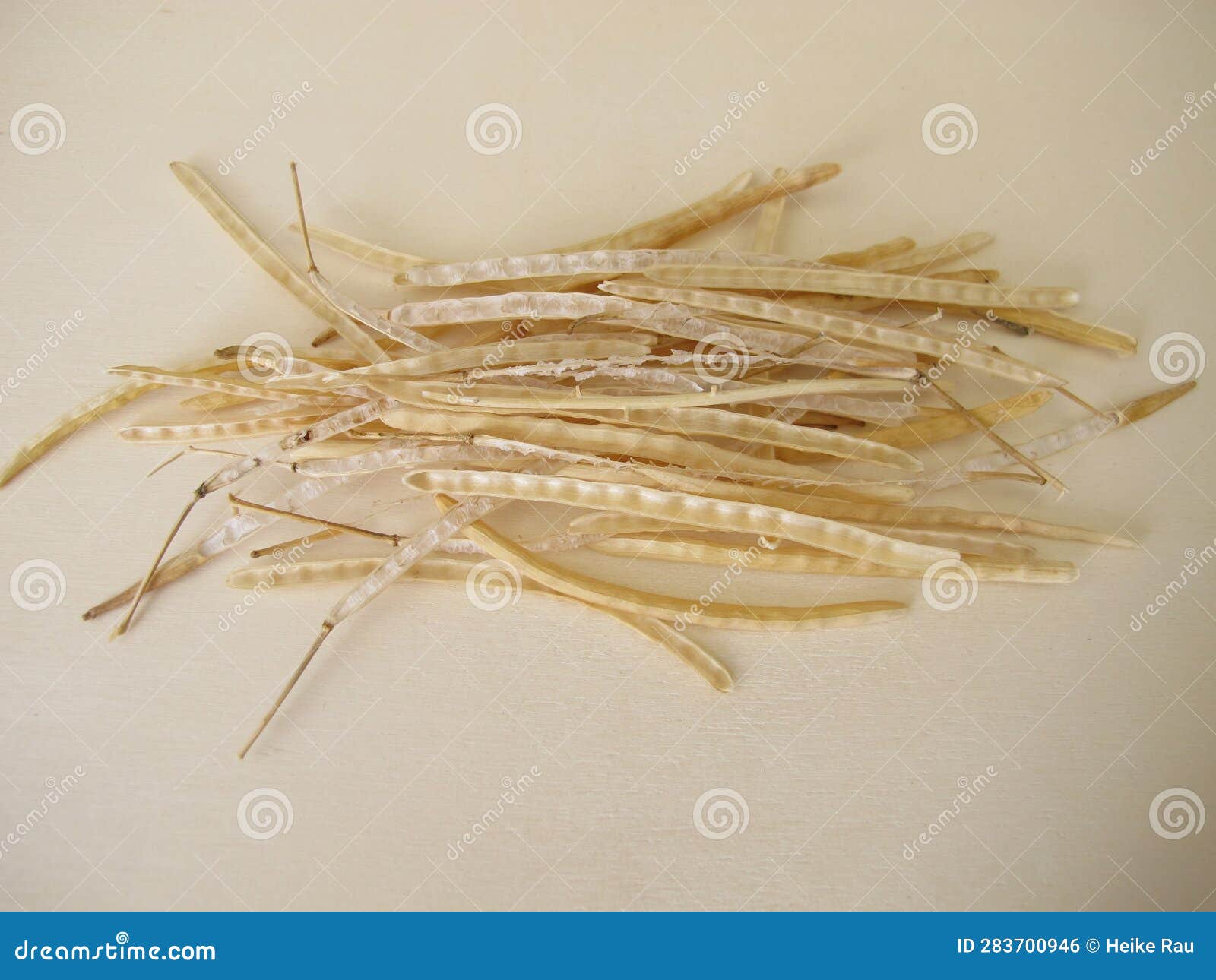 Straw: Plant Residues from the Straw of Rapeseed Stock Photo - Image of ...