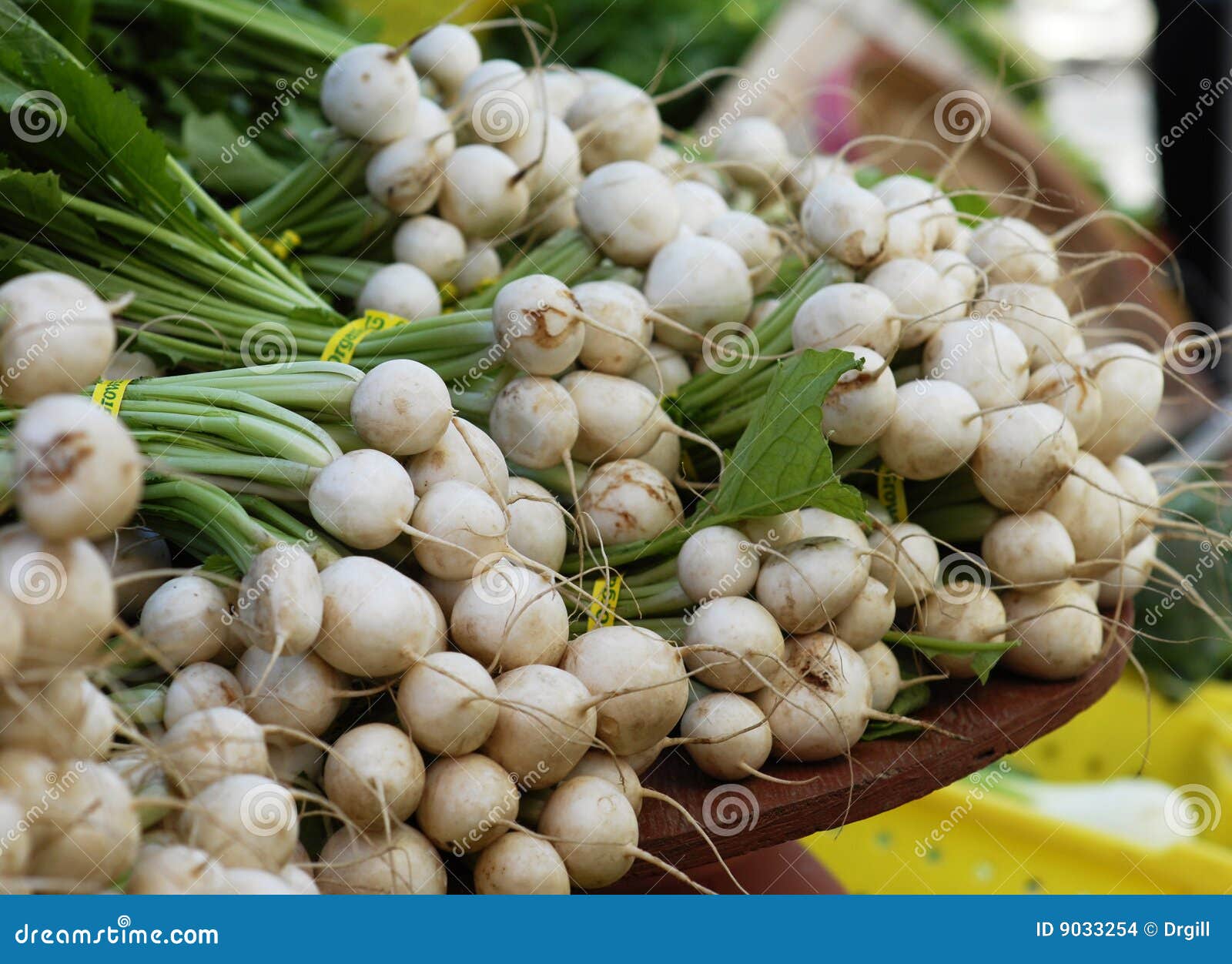 Rapen voor Verkoop stock foto. Image of vrucht, verkoop - 9033254