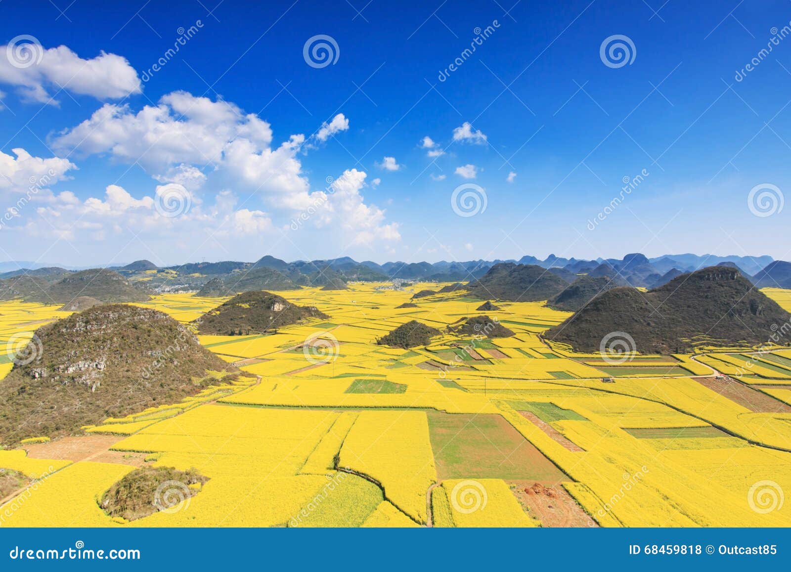 Rapeseed Flowers of Luoping in Yunnan China Stock Photo - Image of ...