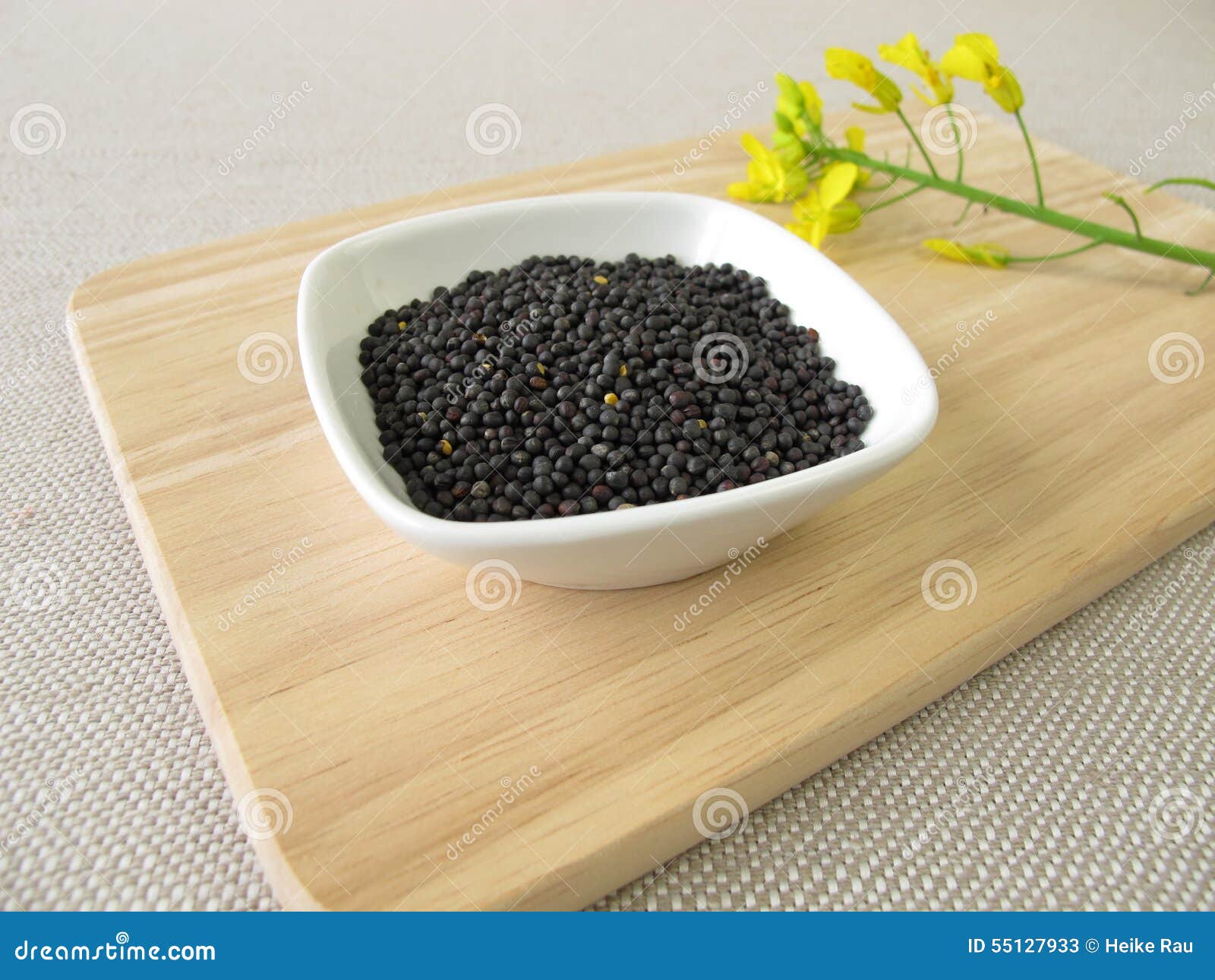 Rapeseeds stock image. Image of rappi, seeds, round, rapaseed - 55127933