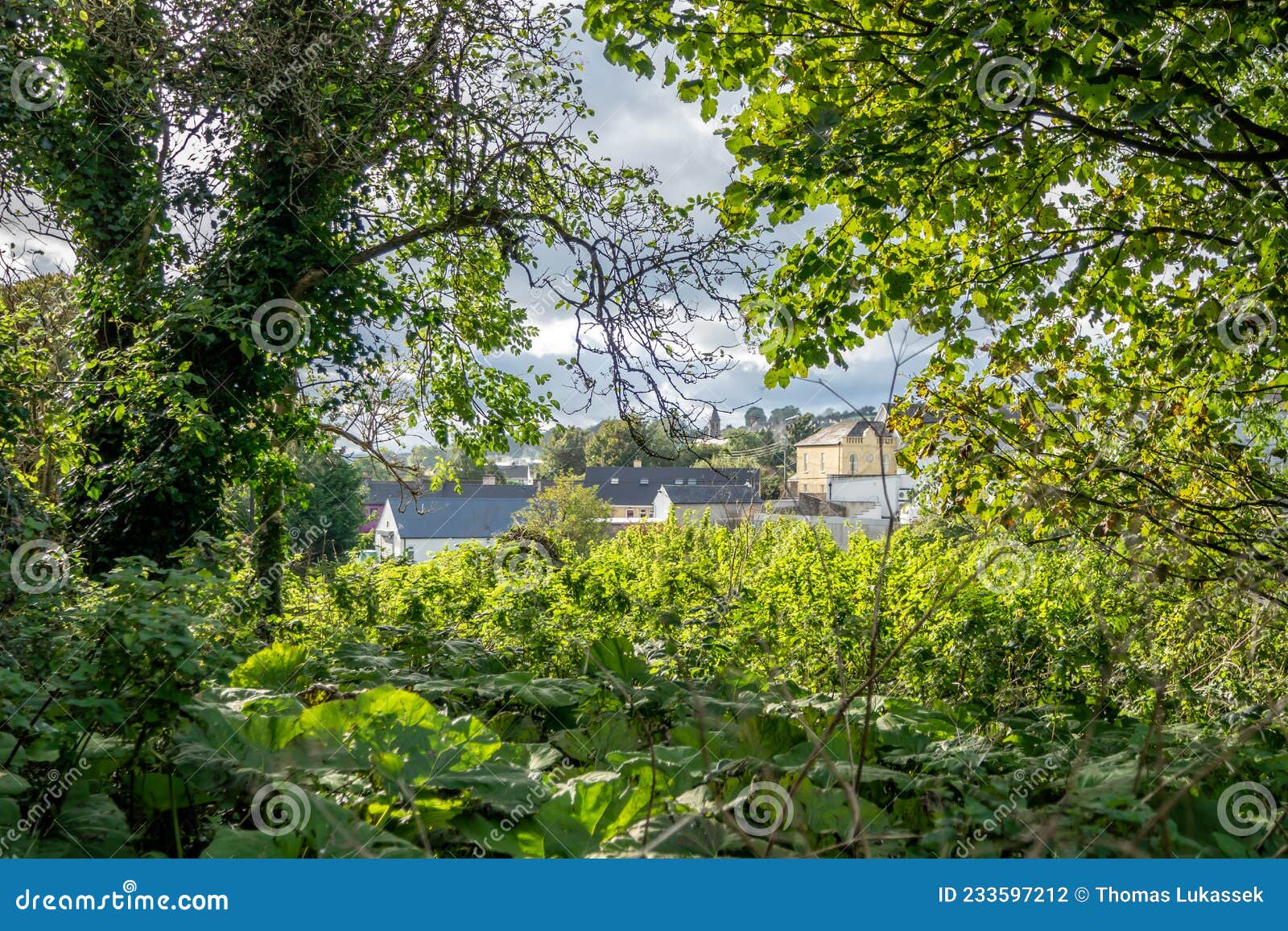 Raphoe Seen through the Woods from the Castle in County Donegal ...