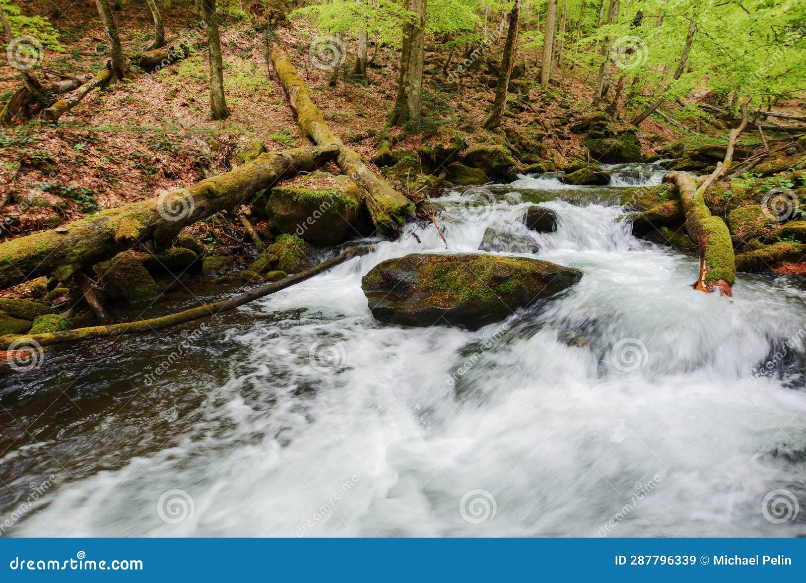 Rapid Brook among Rocks in the Natural Park Stock Image - Image of ...