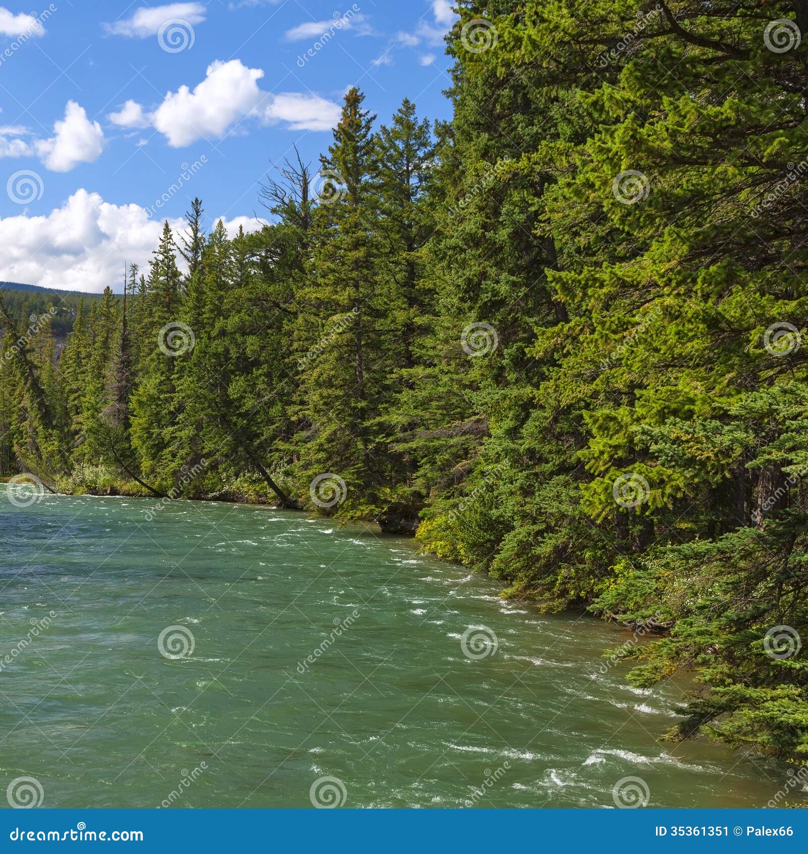 Rapid current stock image. Image of hike, clean, beauty - 35361351