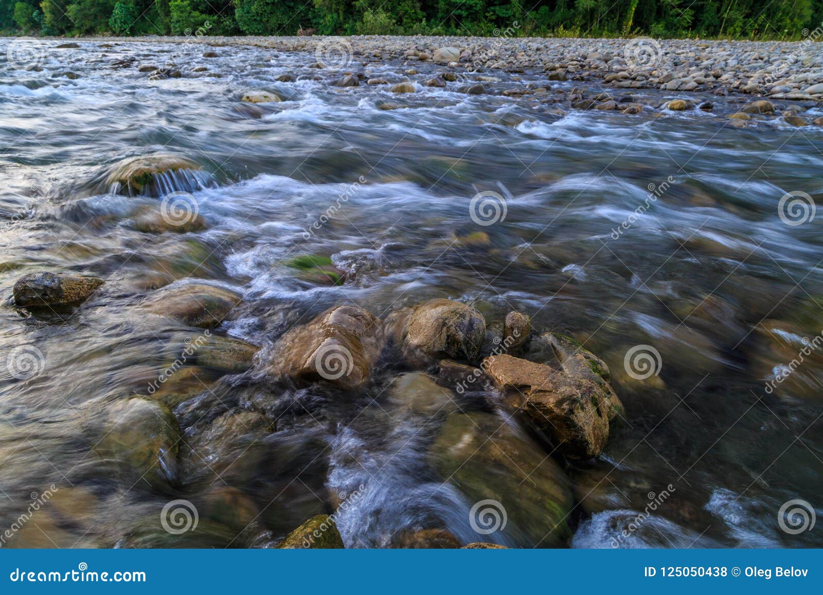 Rapid Flow of a Mountain River, Clear Water Stock Photo - Image of ...