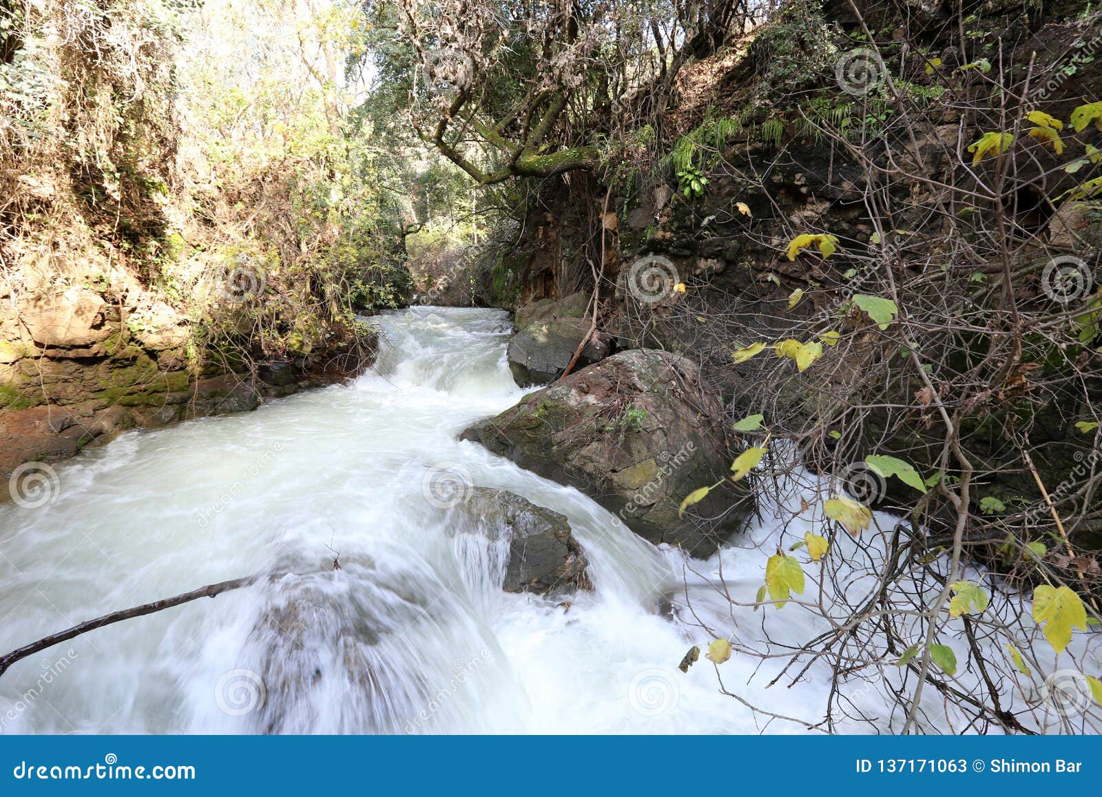 Rapid Flow of Rainwater in the River Banias Stock Image - Image of ...
