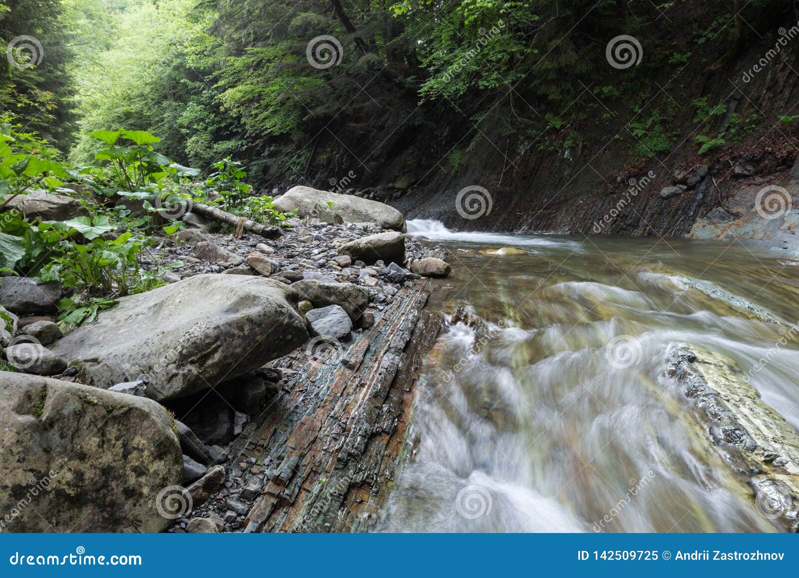 The Rapid Flow of River Water Timber. Large Rocks on the Shore Stock ...