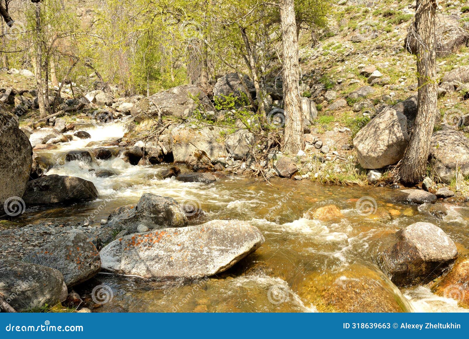 The Rapid Flow of a Turbulent River Flows Down from the Mountains in a ...