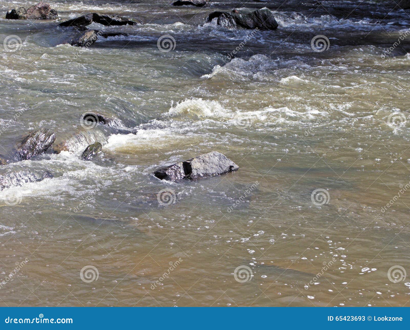 Rapid Flowing Stream stock image. Image of fast, earth - 65423693