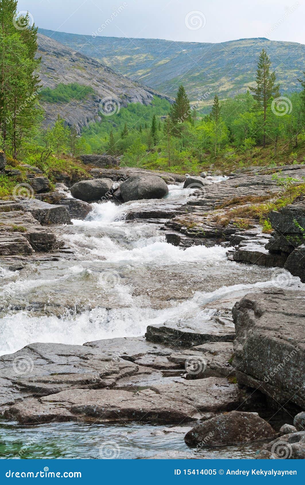 Rapid River Flow in Mountains Stock Image - Image of smear, pine: 15414005