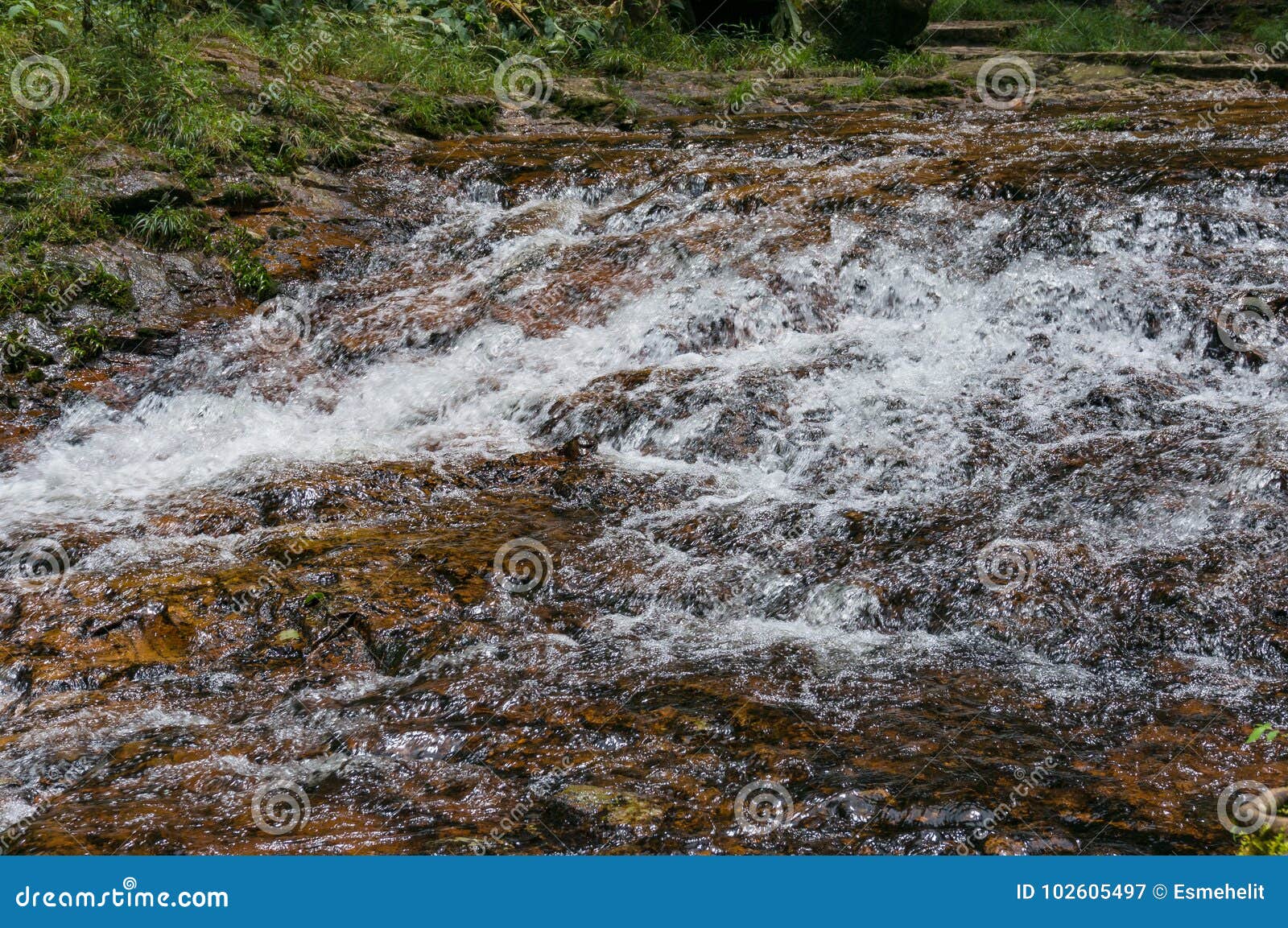 Rapid river stream stock image. Image of water, rapid - 102605497