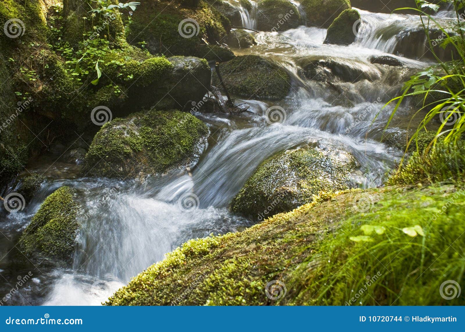 Rapid stream stock photo. Image of creek, flowing, landscape - 10720744