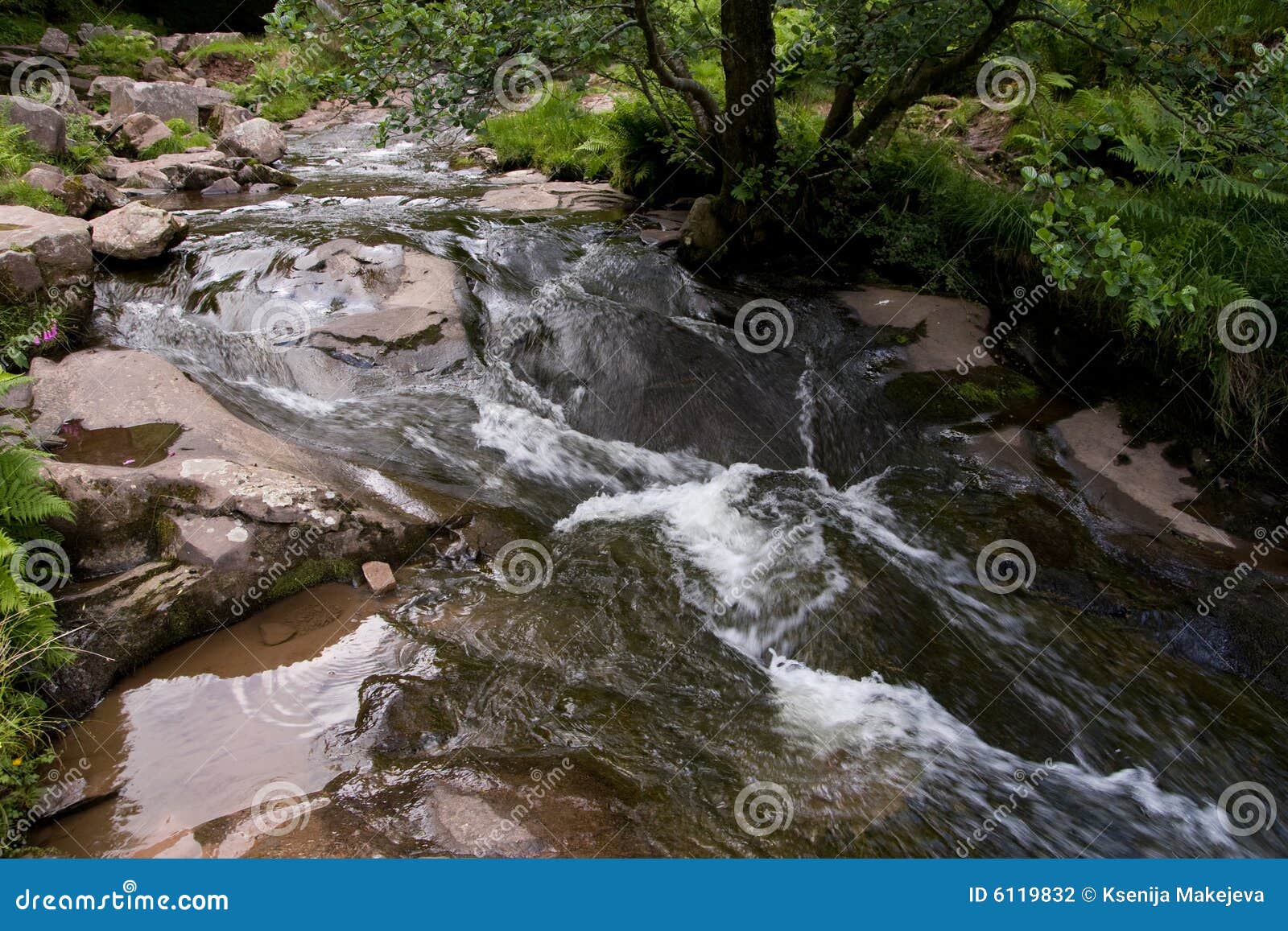 Rapid stream stock photo. Image of fast, outdoor, river - 6119832