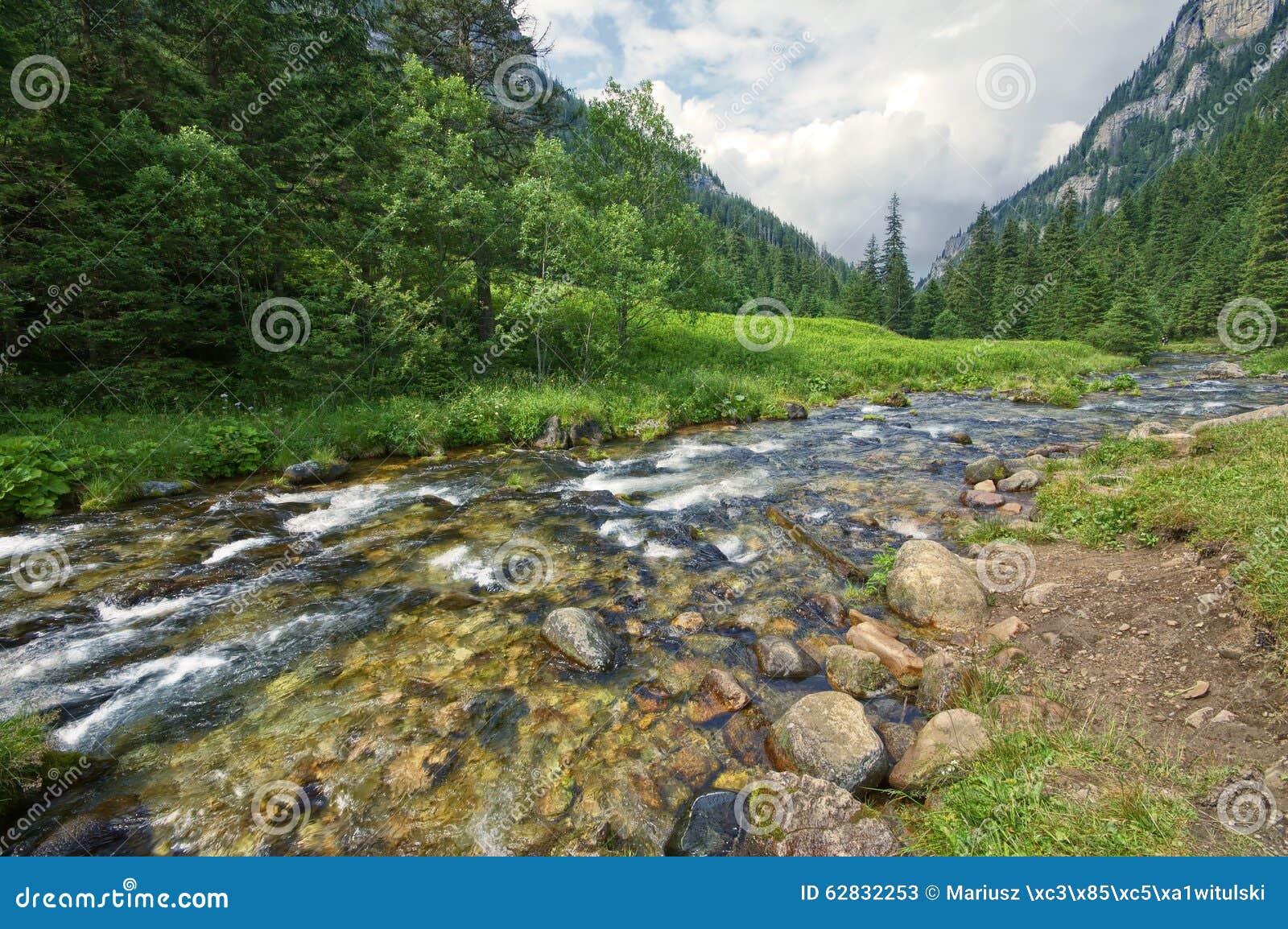 Rapid stream stock image. Image of green, landscape, current - 62832253