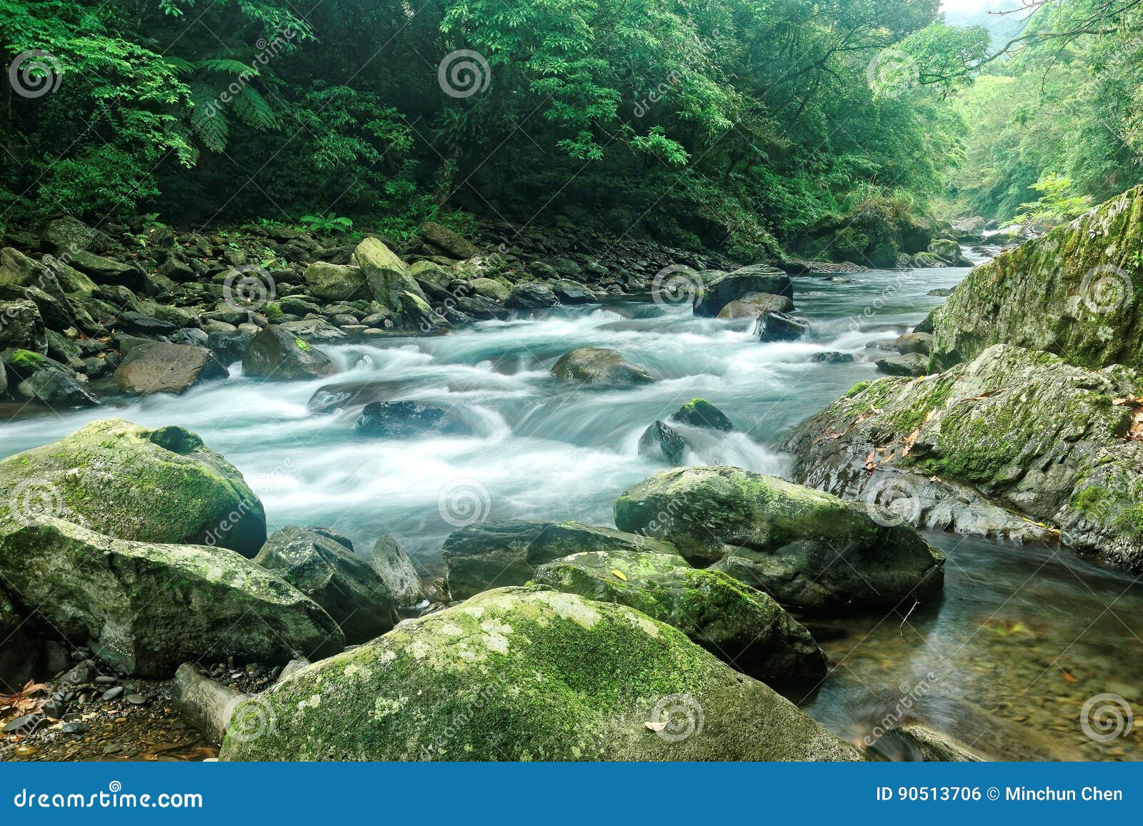 A Rapid Stream Flowing Through A Mysterious Forest Of Lush Greenery ...