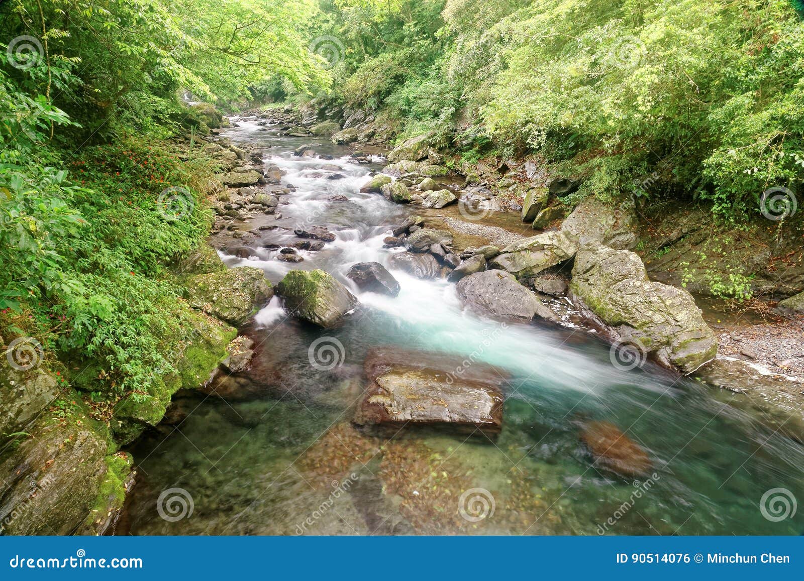 A Rapid Stream Flowing Through A Mysterious Forest Of Lush Greenery ...
