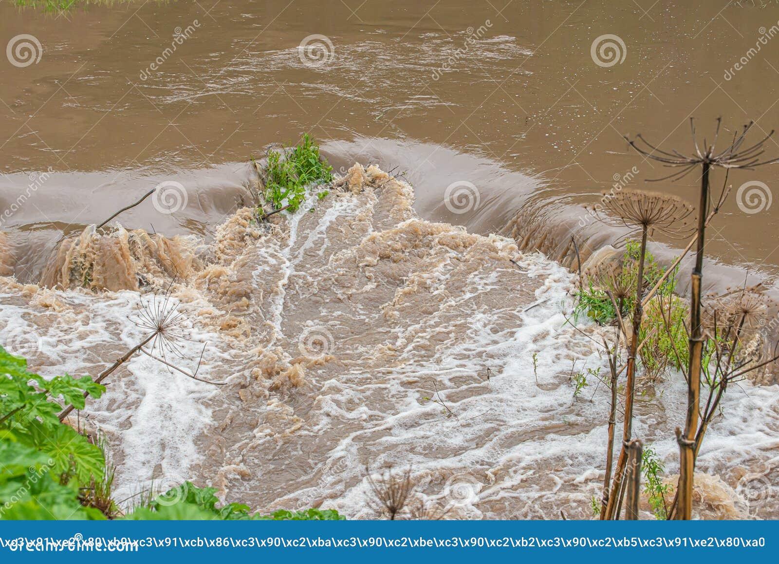 A Rapid Stream of Muddy Rain Water Stock Image - Image of muddy ...