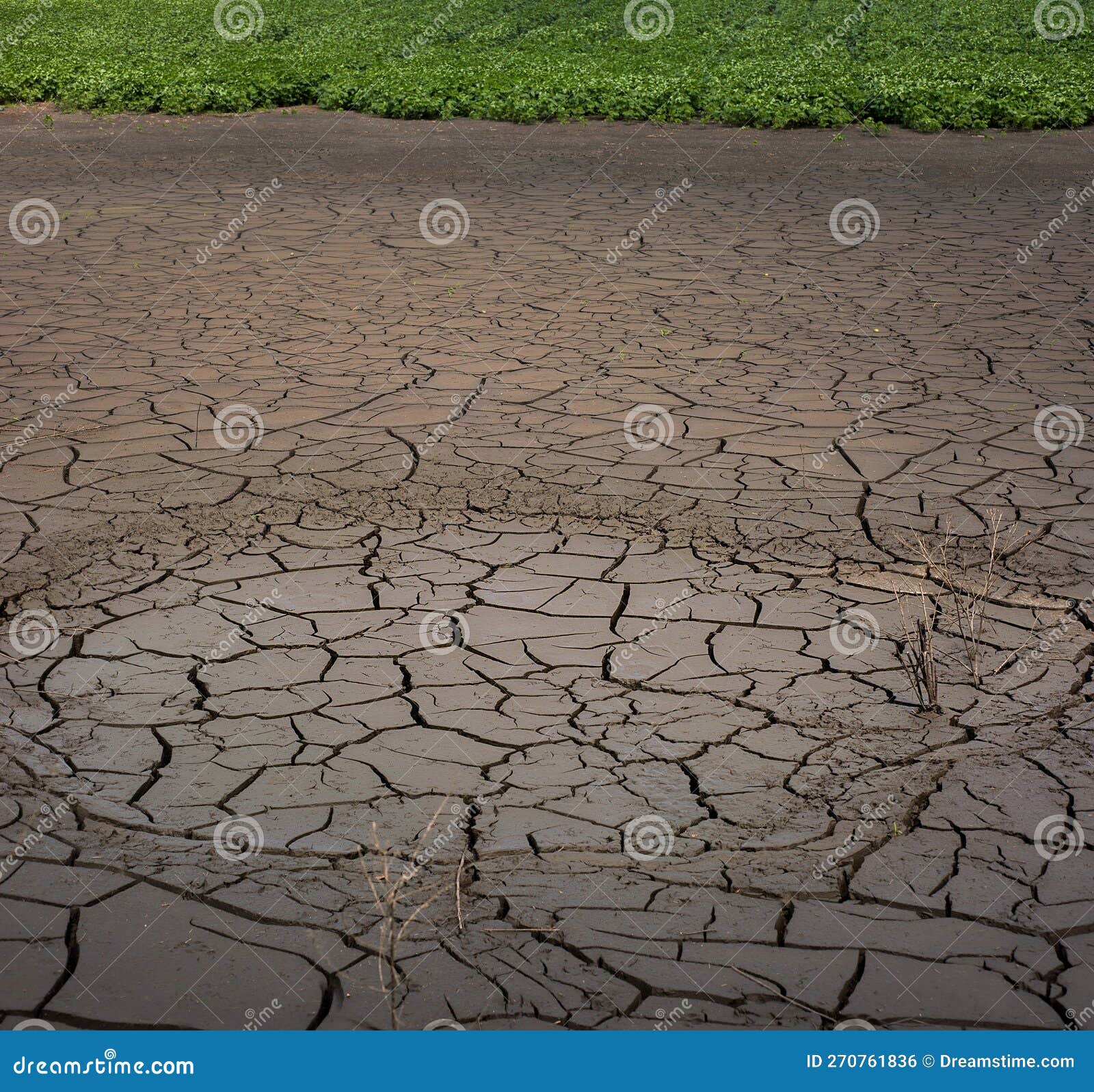 Arable Soil after Flooding Due To Heavy Rainfall Stock Photo - Image of ...