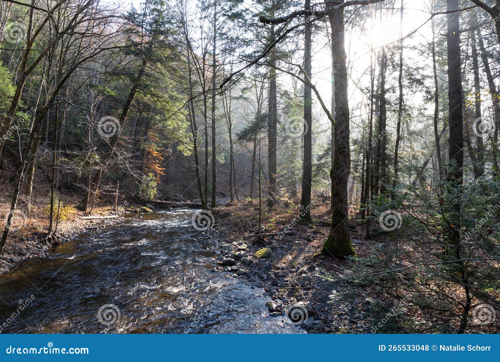 Rapidly Flowing Stream through a Fall Winter Landscape in Dappled ...