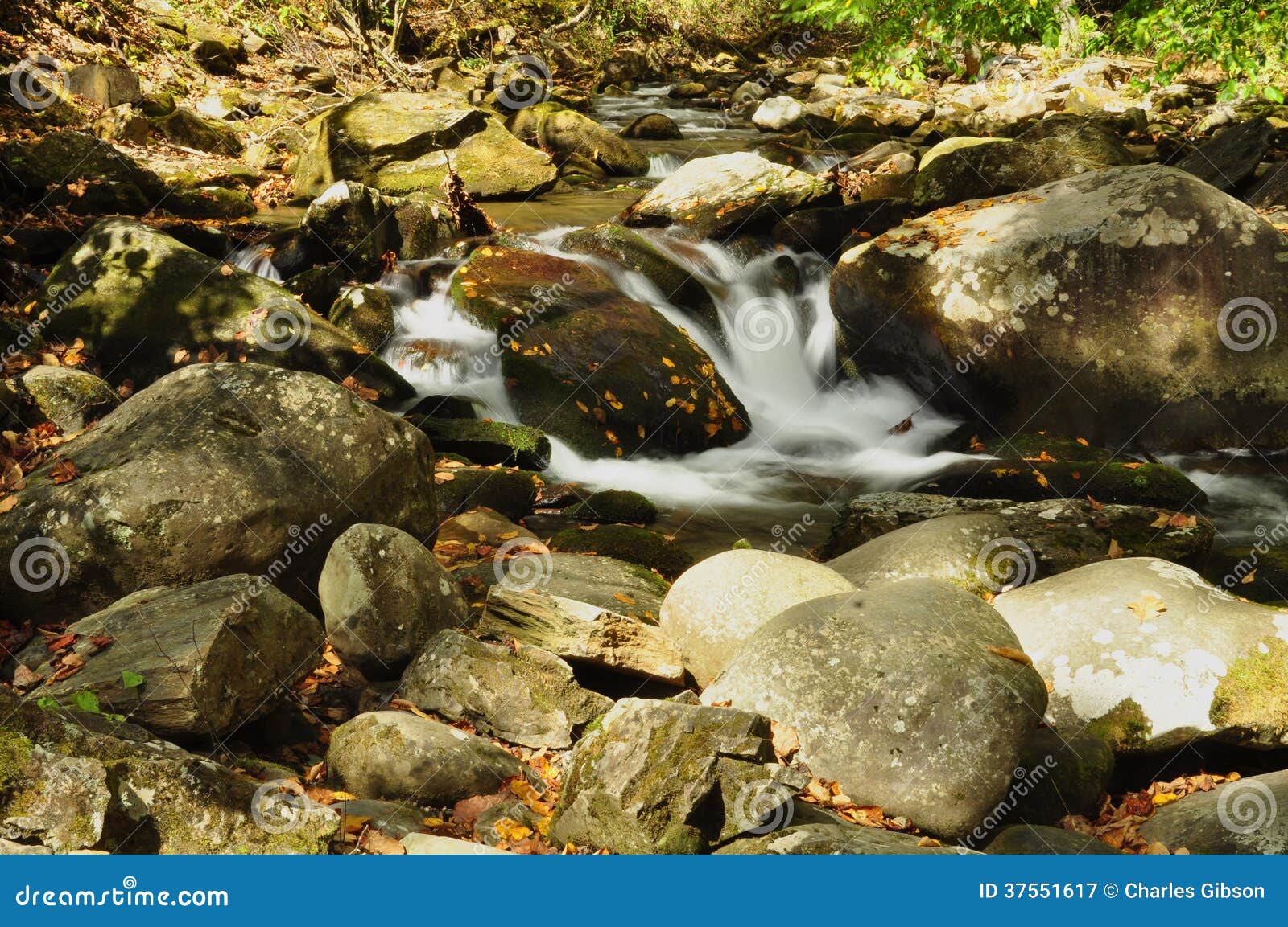Rapids stock image. Image of parks, national, northcarolina - 37551617