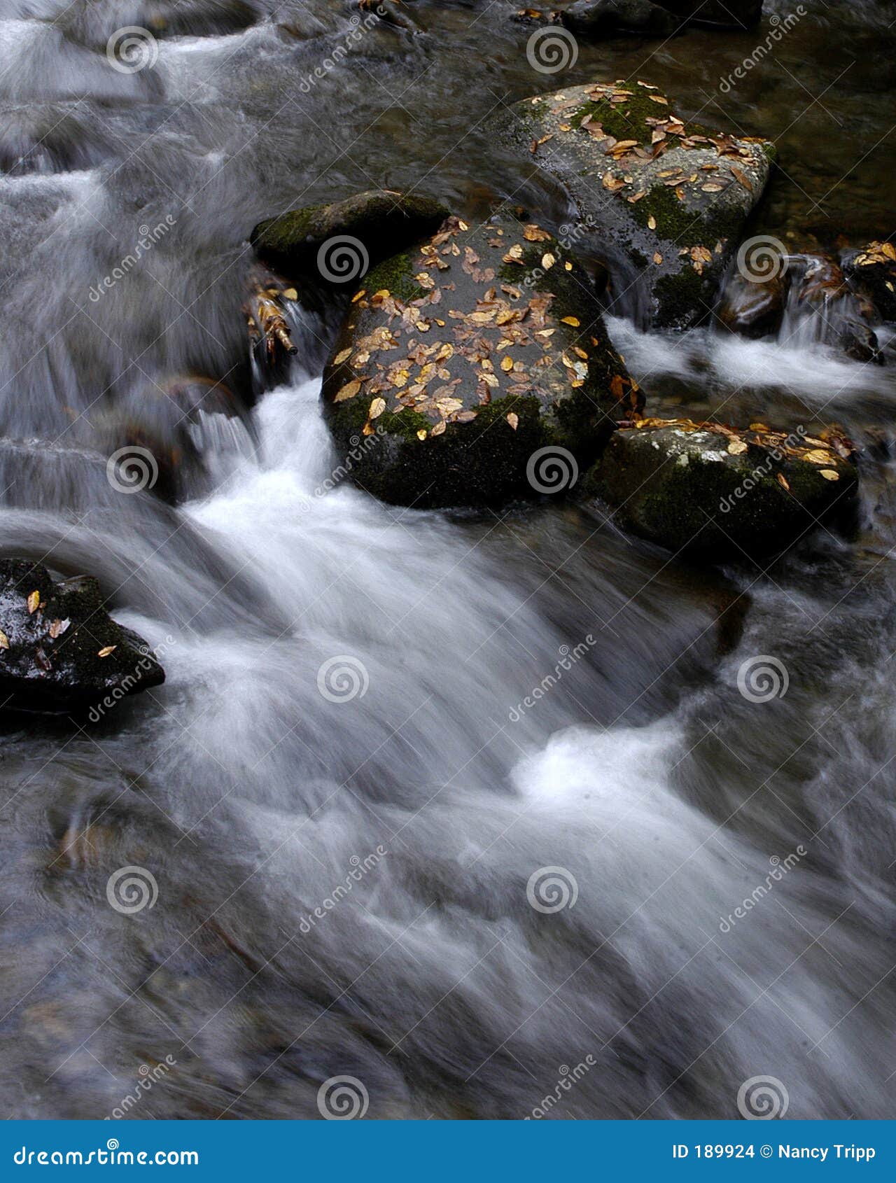 Rapids in the fall stock photo. Image of outdoors, creek - 189924