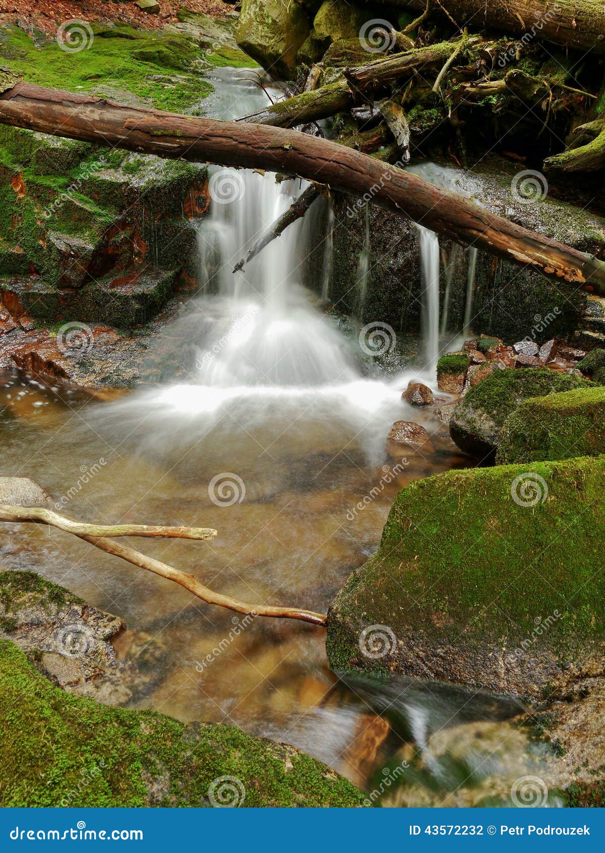 Rapids on a Mountain Stream Stock Photo - Image of green, river: 43572232