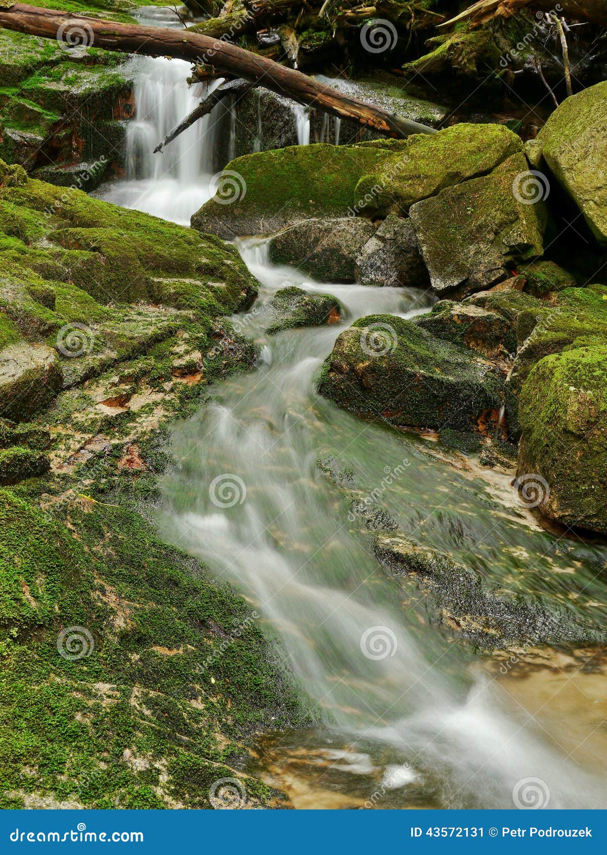 Rapids on a Mountain Stream Stock Image - Image of brown, forest: 43572131