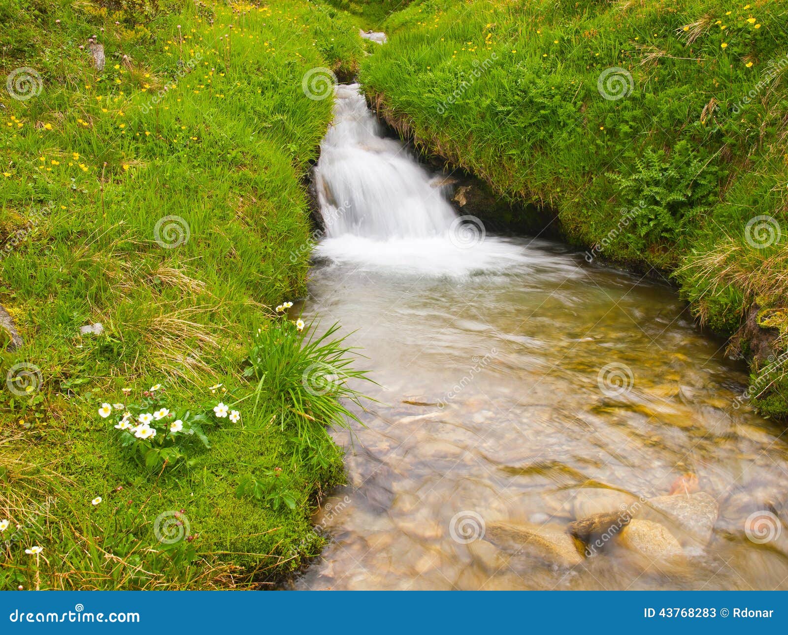 Rapids on Mountain Stream in Spring Meadow of Alps. Cold and Rainy ...