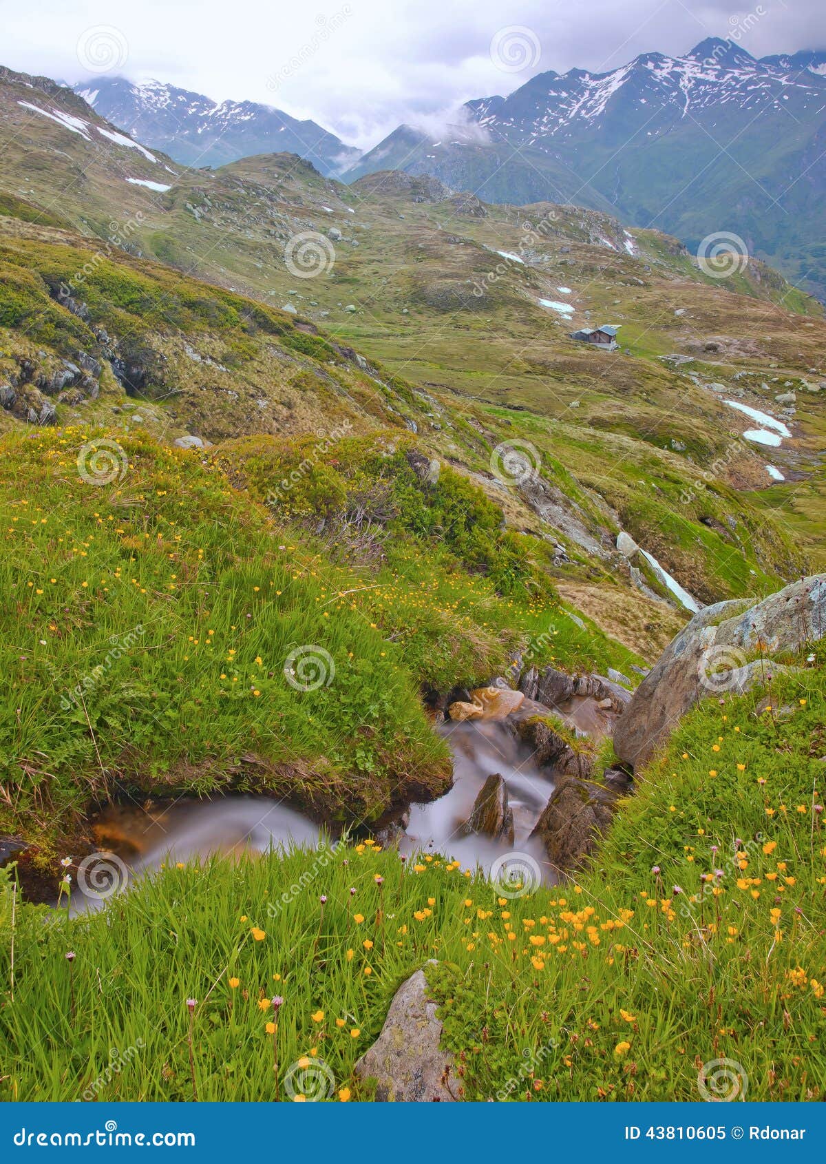 Rapids on Mountain Stream in Spring Meadow of Alps. Cold and Rainy ...