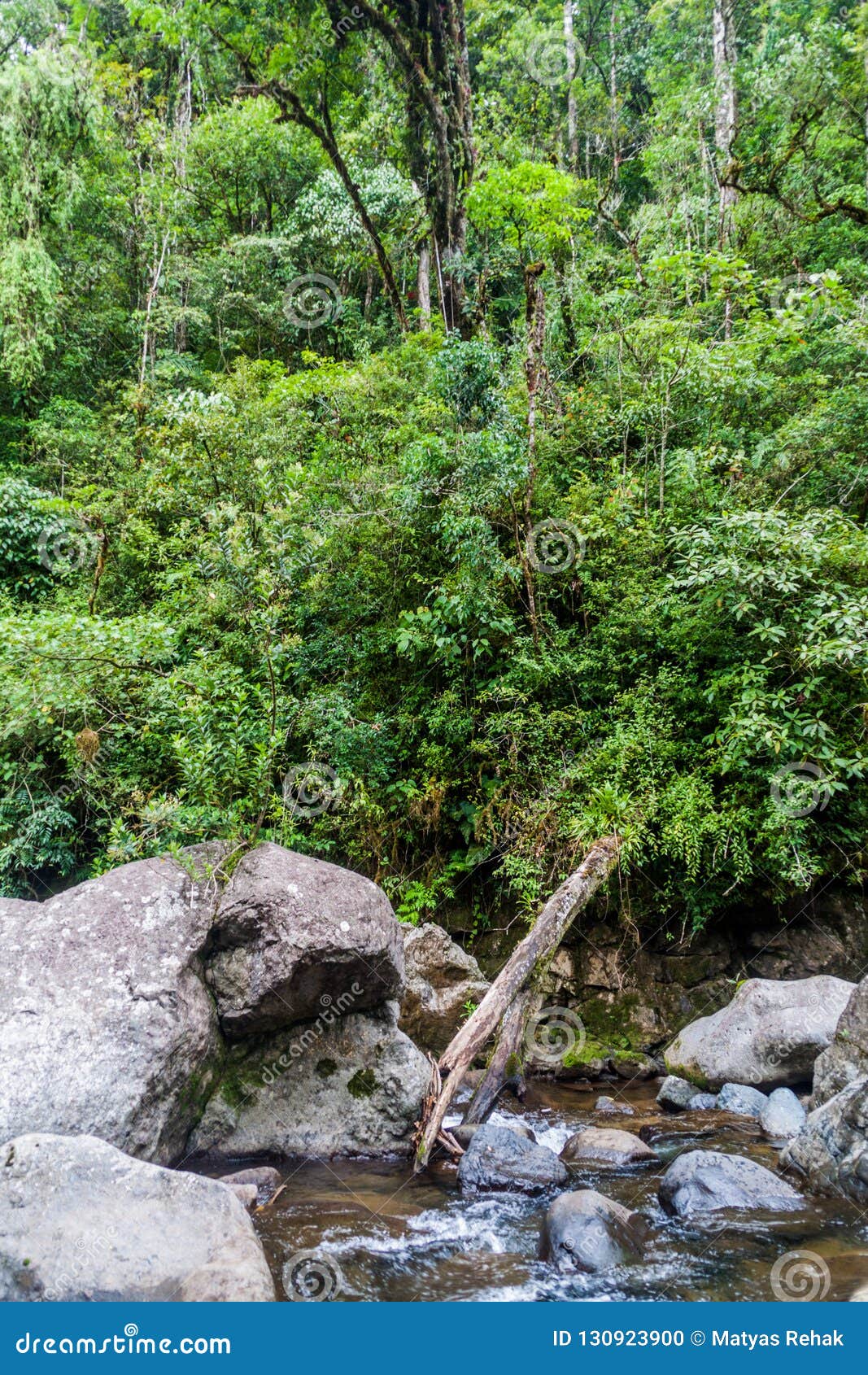 Rapids of Rio Hornito River and a Jungle in Pana Stock Photo - Image of rocks, motion: 130923900