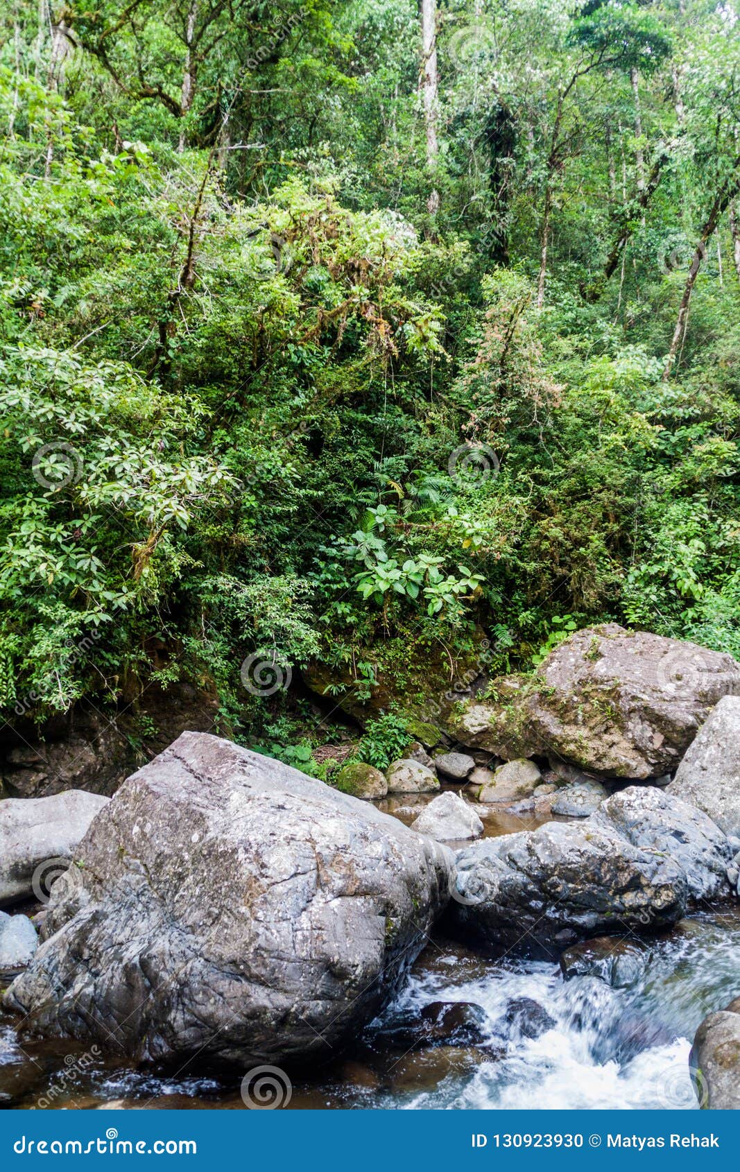 Rapids of Rio Hornito River and a Jungle in Pana Stock Photo - Image of running, fast: 130923930