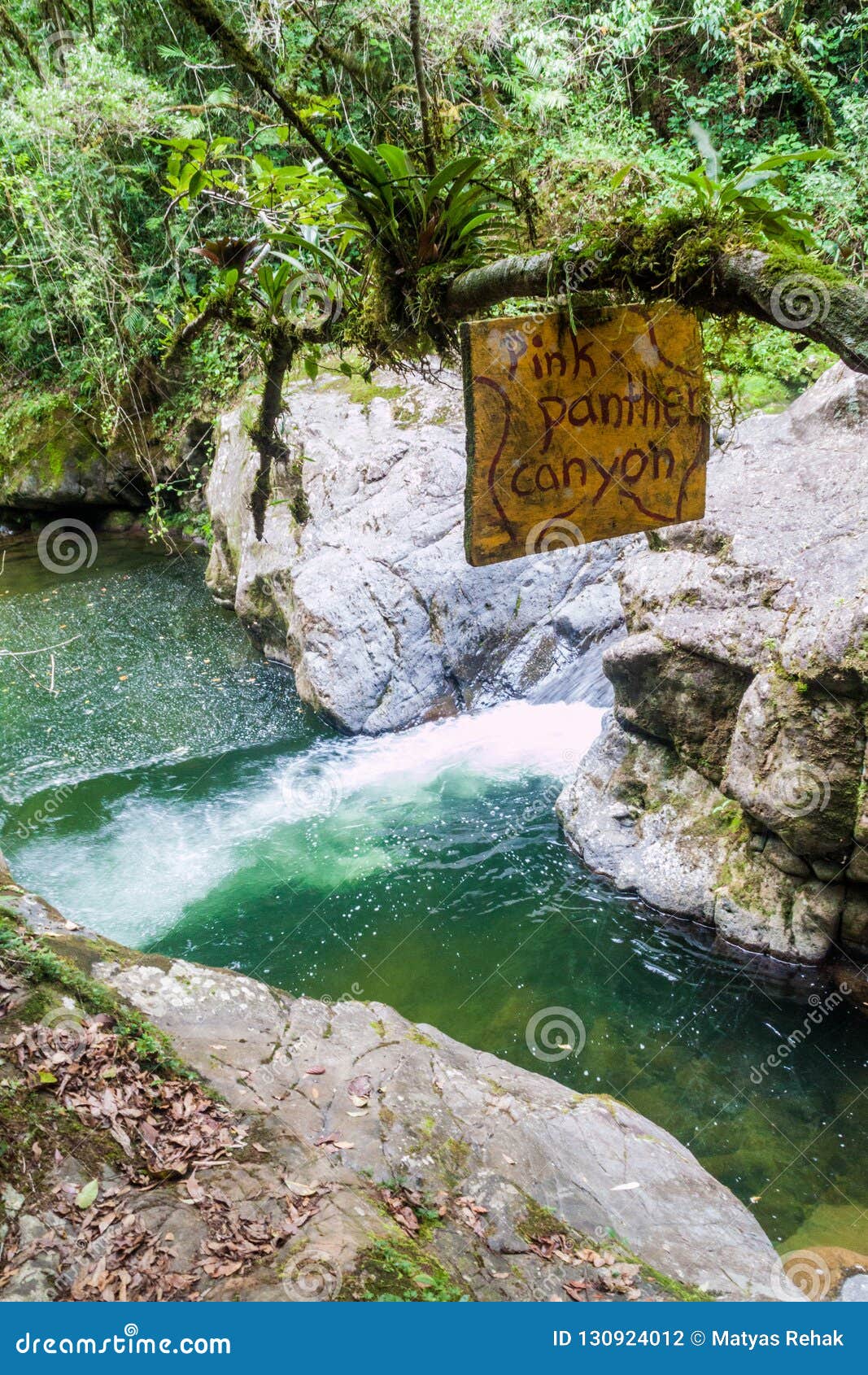 Rapids of Rio Hornito River and a Jungle in Pana Stock Photo - Image of panama, green: 130924012