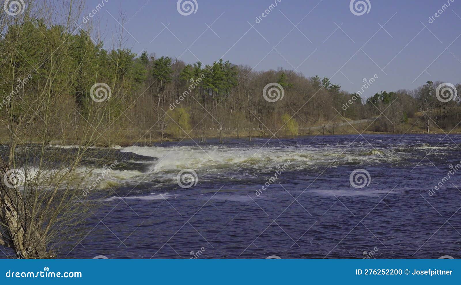 Rapids on a River with a Forest Background Stock Footage - Video of ...
