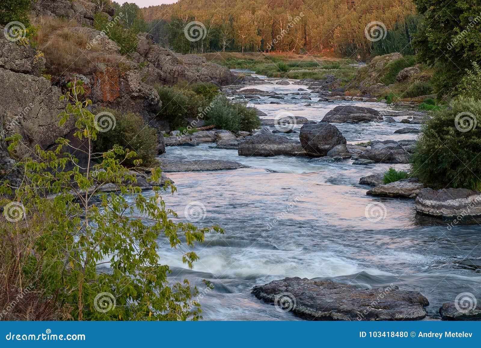 The Rapids on the River Running in the Forest among the Rocks Stock ...