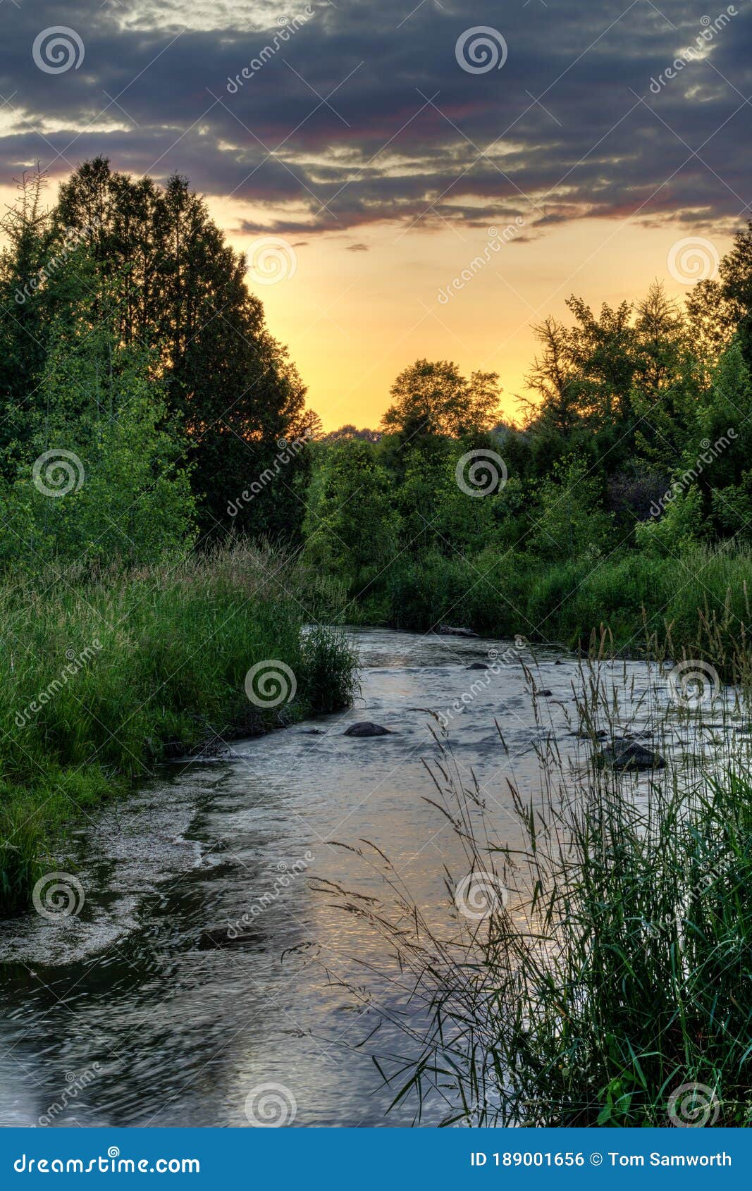 Rapids on the River at Sunset Stock Photo - Image of ontario, canada ...