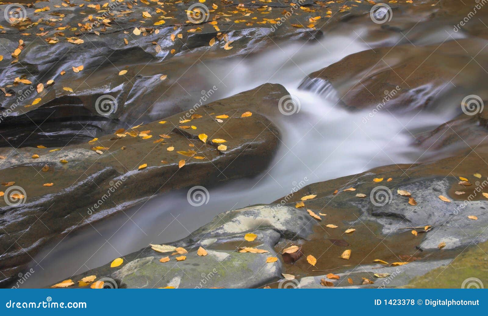 Rapids And Rocks Picture. Image: 1423378