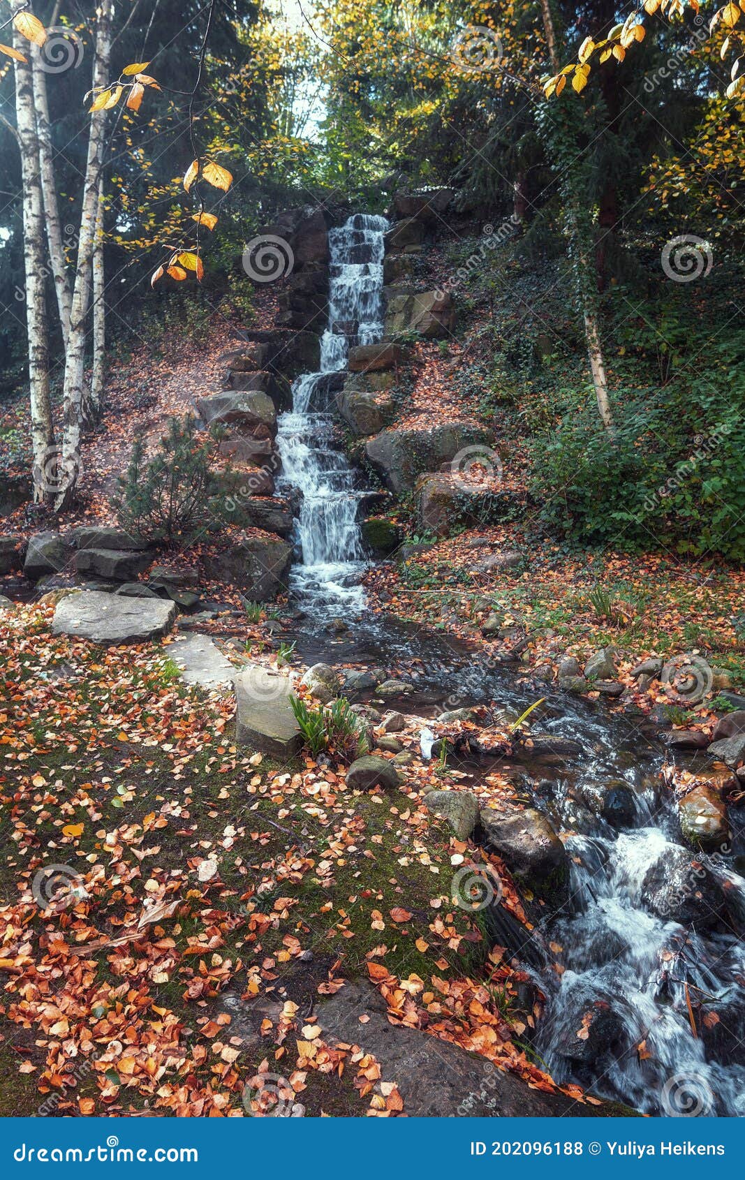Rapids in the Stream Run through a Beautiful Park in Autumn Colors ...