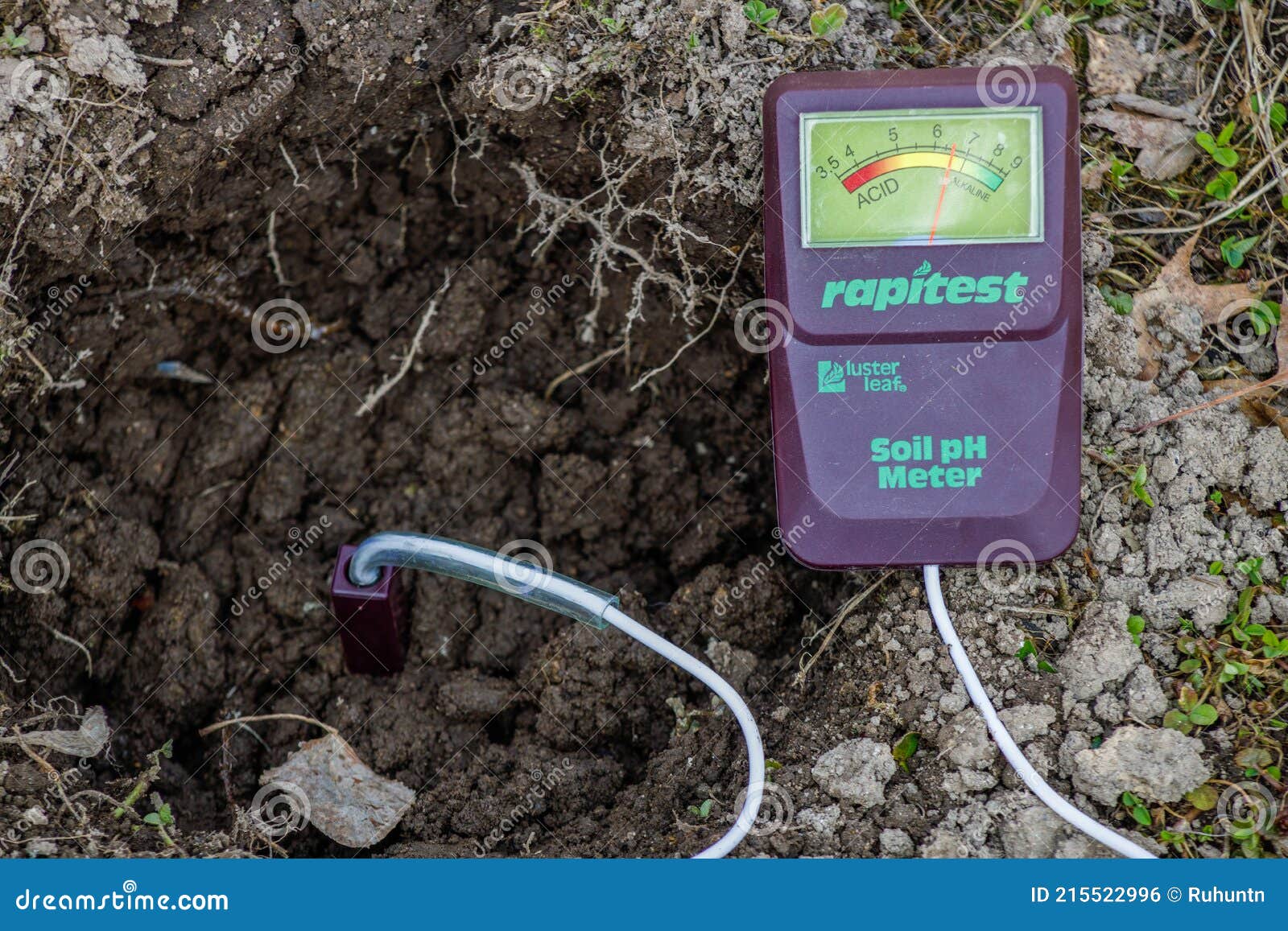 Rapitest Meter Testing the PH of the Soil during Early Spring ...