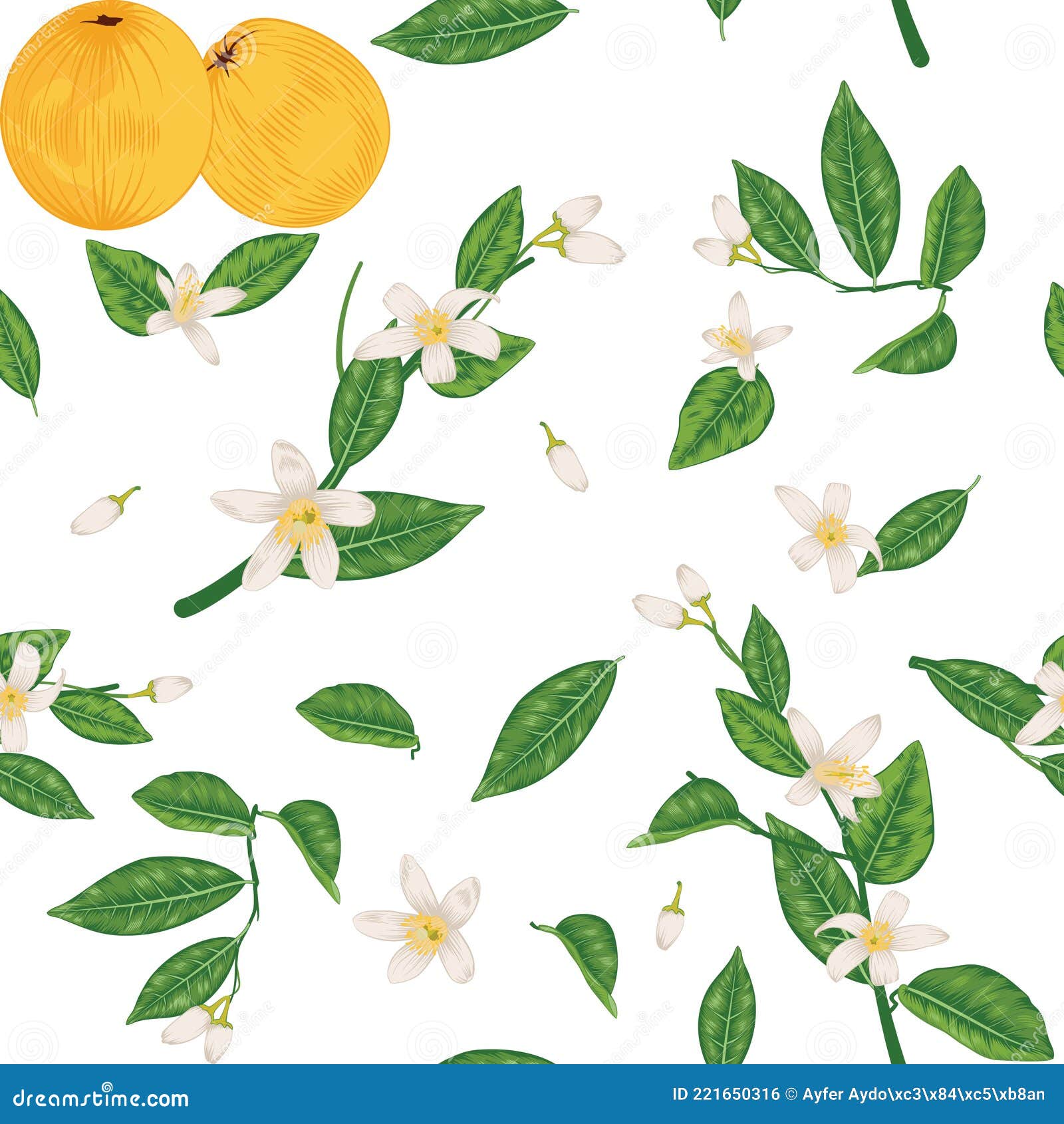 Seamless Mandarin with Mandarin Leaves and Flower Pattern for Fabric ...