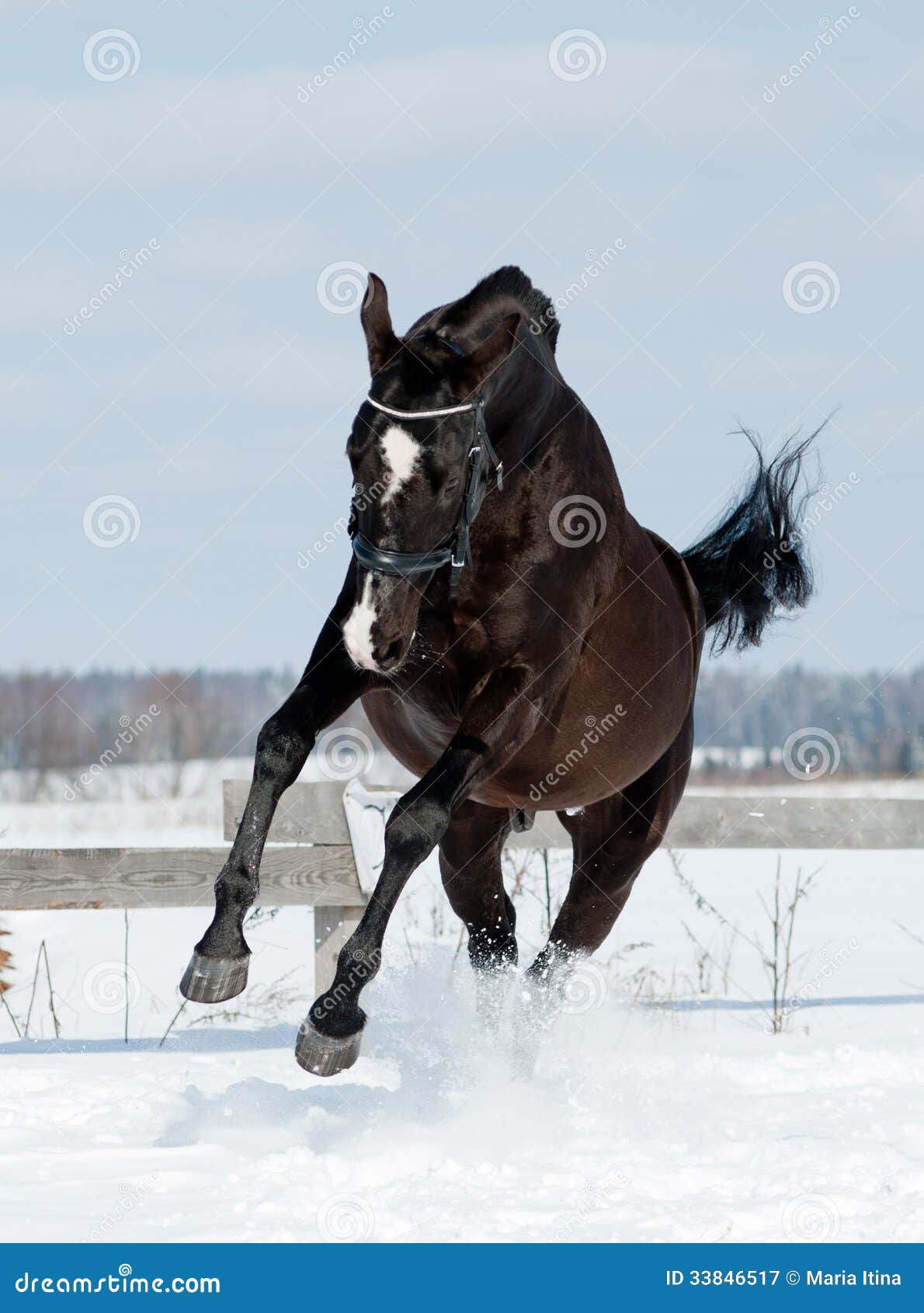 Rappe springt stockbild. Bild von aufbereiter, rabe, bewegen - 33846517