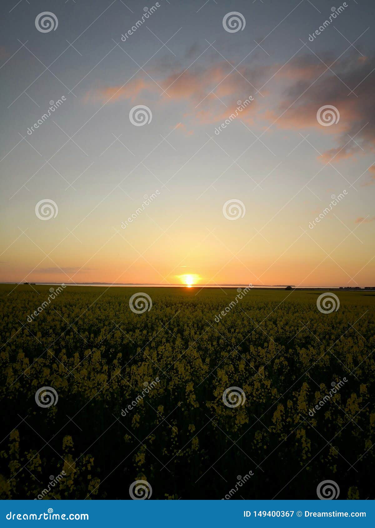 Rapper in the sun stock image. Image of sunset, rapper - 149400367